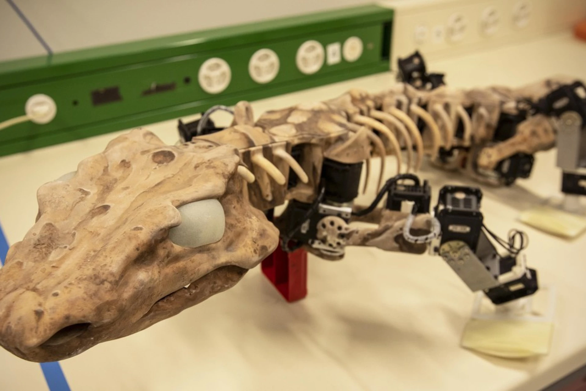 Robotic fossil shows off the swagger of ancient animals