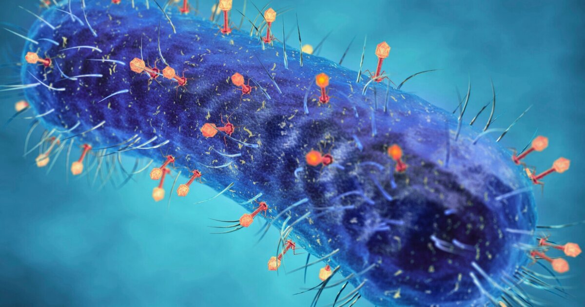 Viruses in gut bacteria linked to colorectal cancer