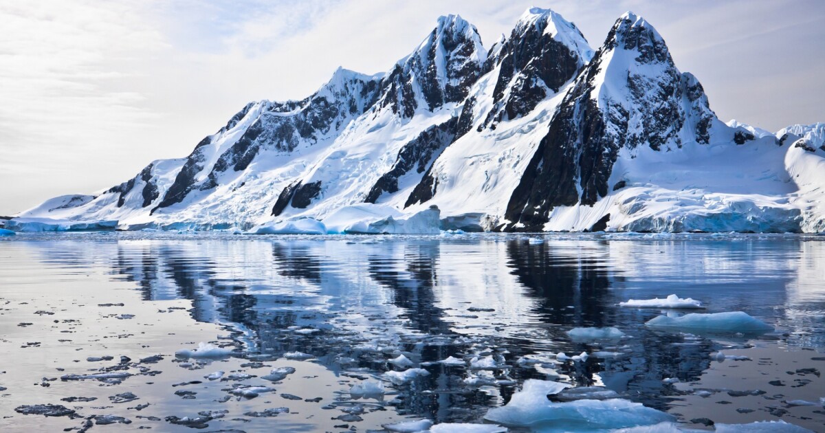 arctic express bacteria