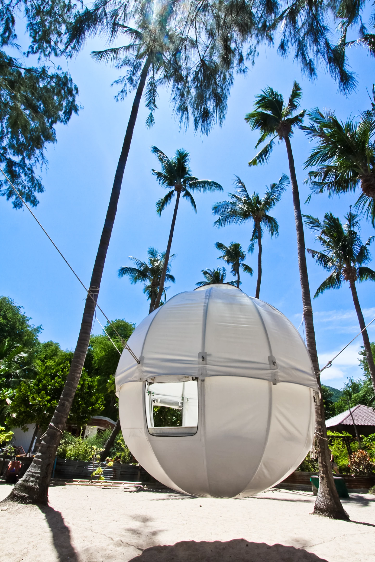 Nest with the birds in your very own Cocoon Tree
