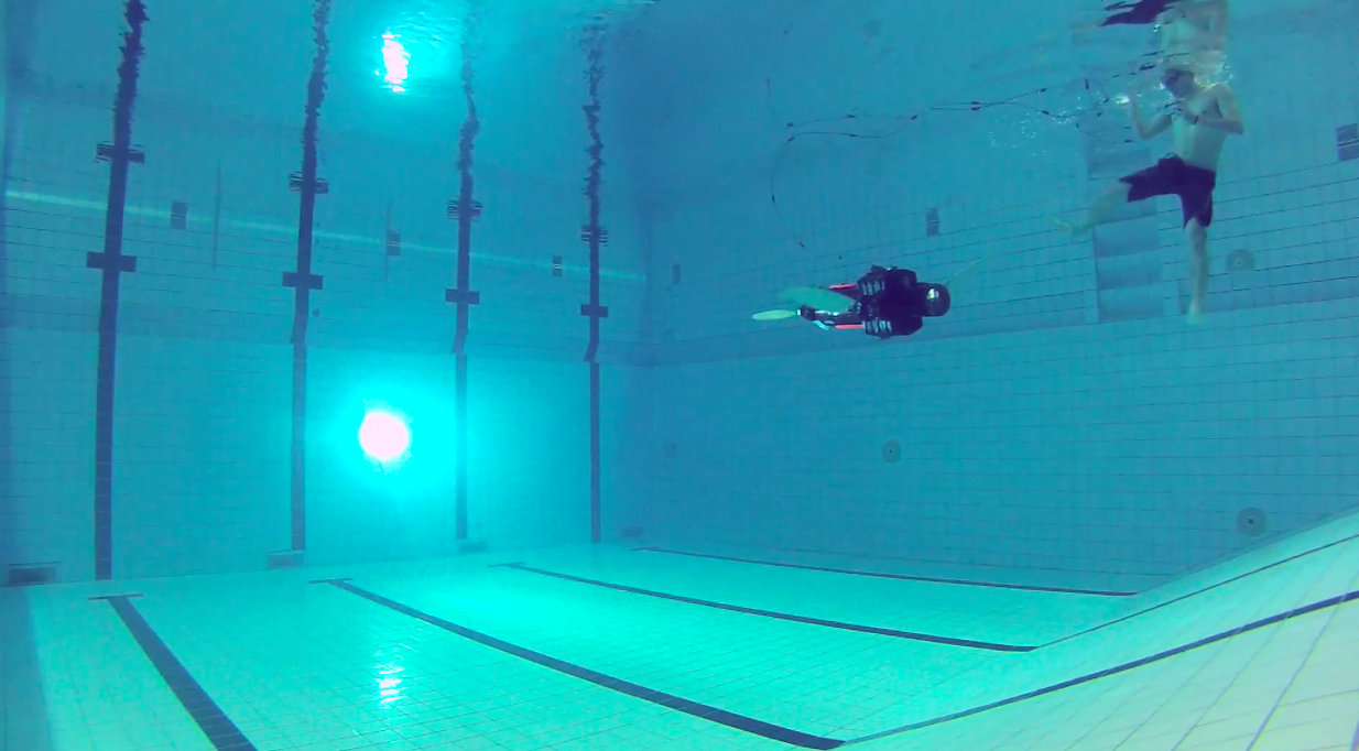 Robot sea turtle takes first dip in the pool