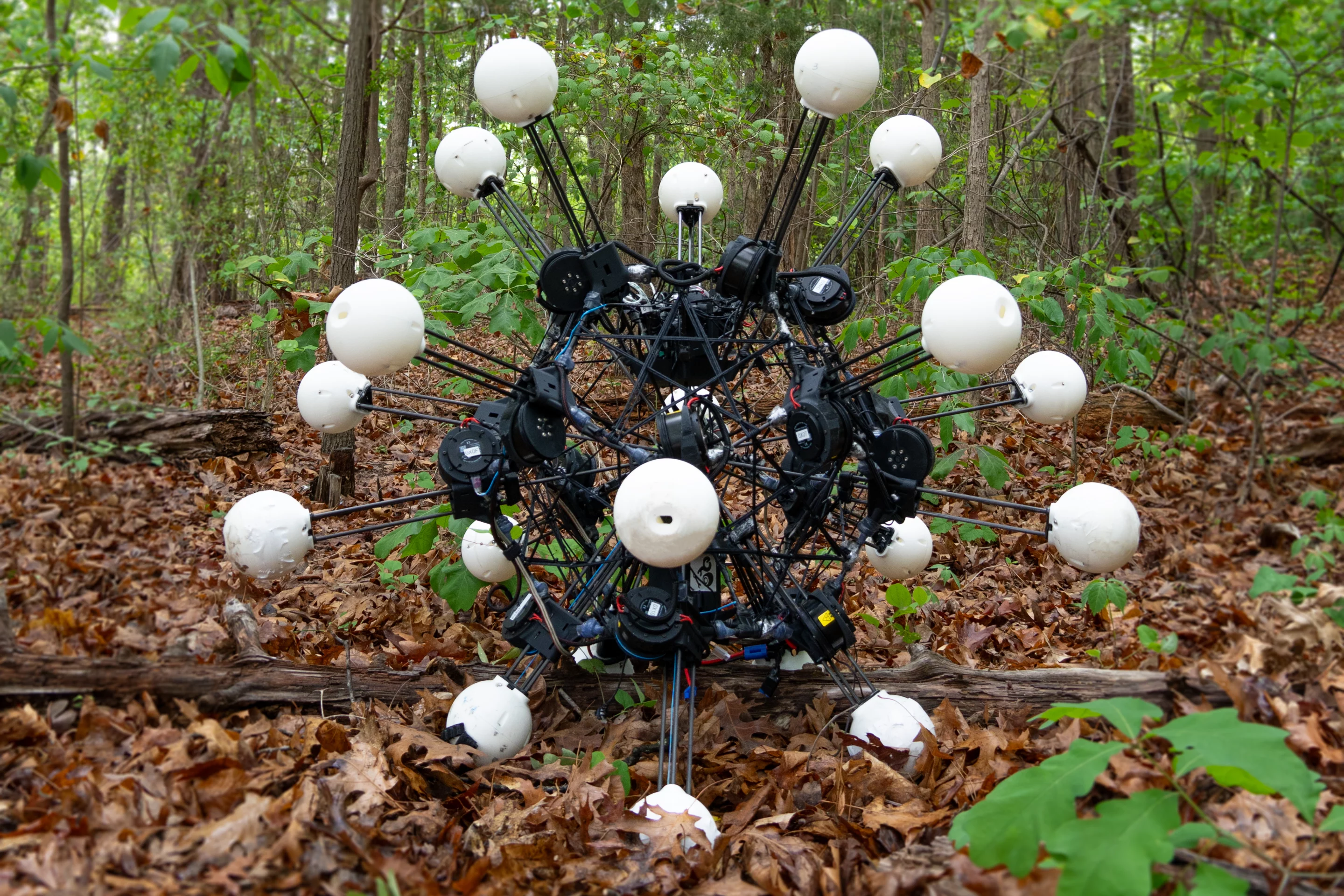 20-legged robot achieves movement symmetry