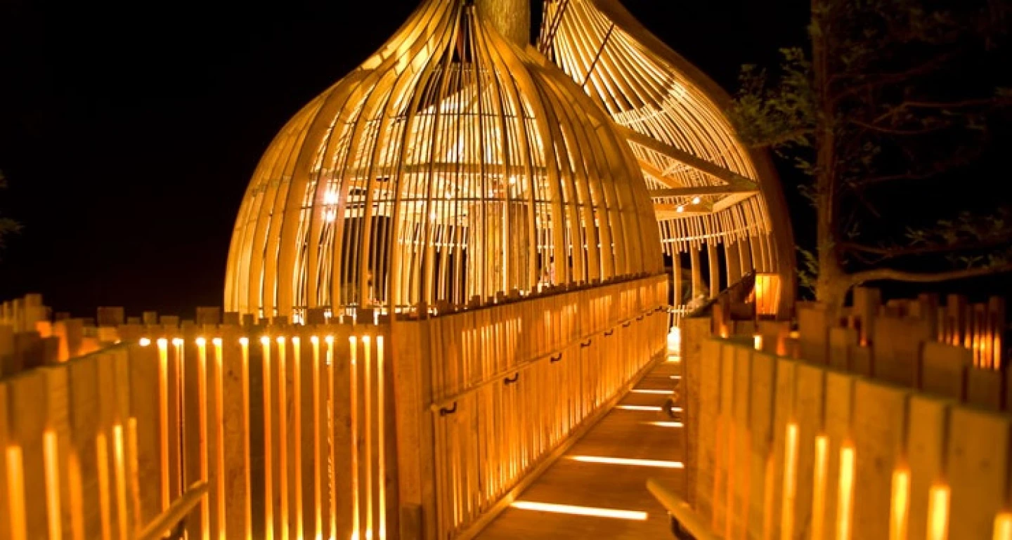 Redwoods Treehouse offers a unique treetop dining experience
