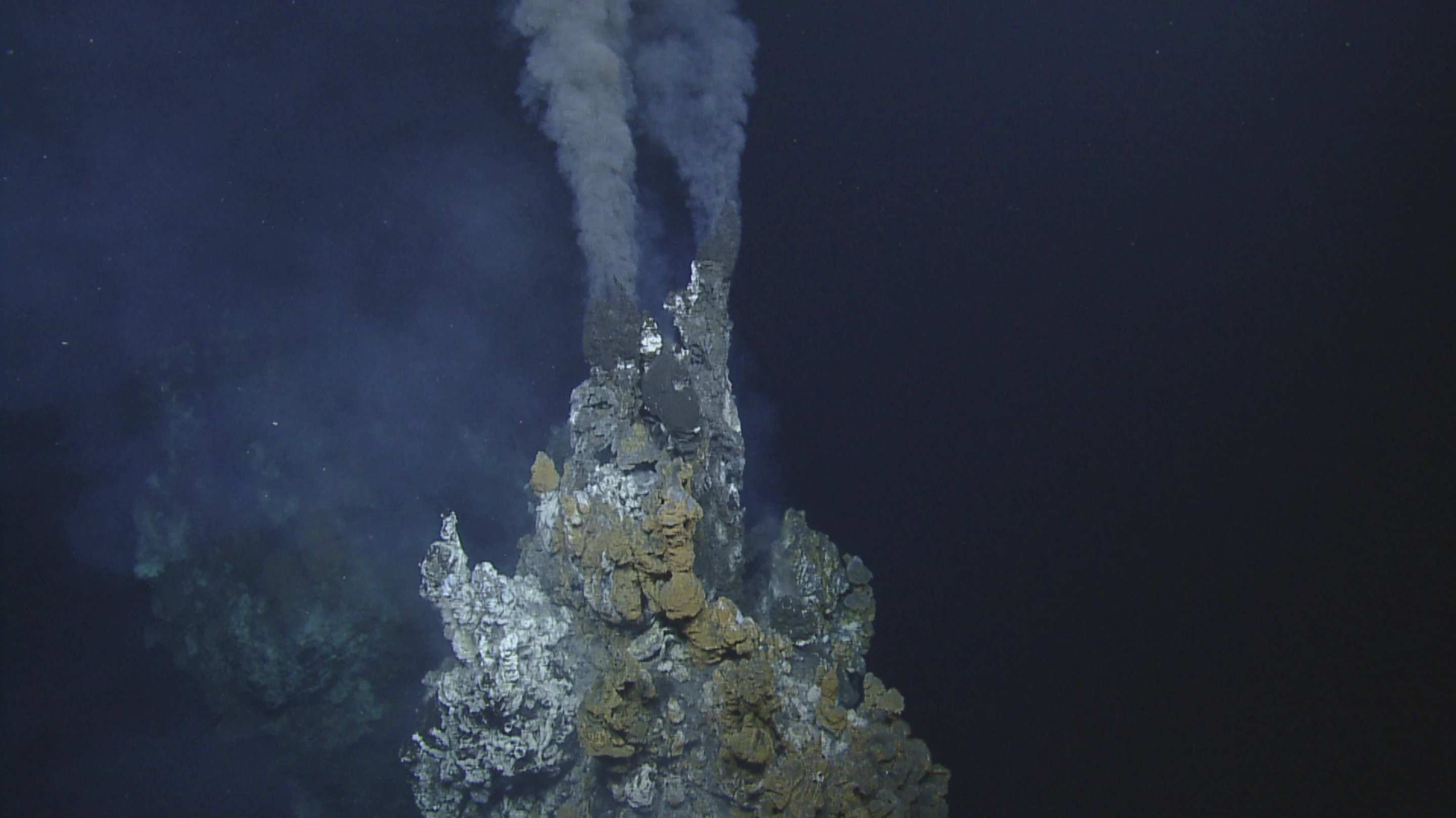 Deep-sea fish hijack hydrothermal vents to incubate their young