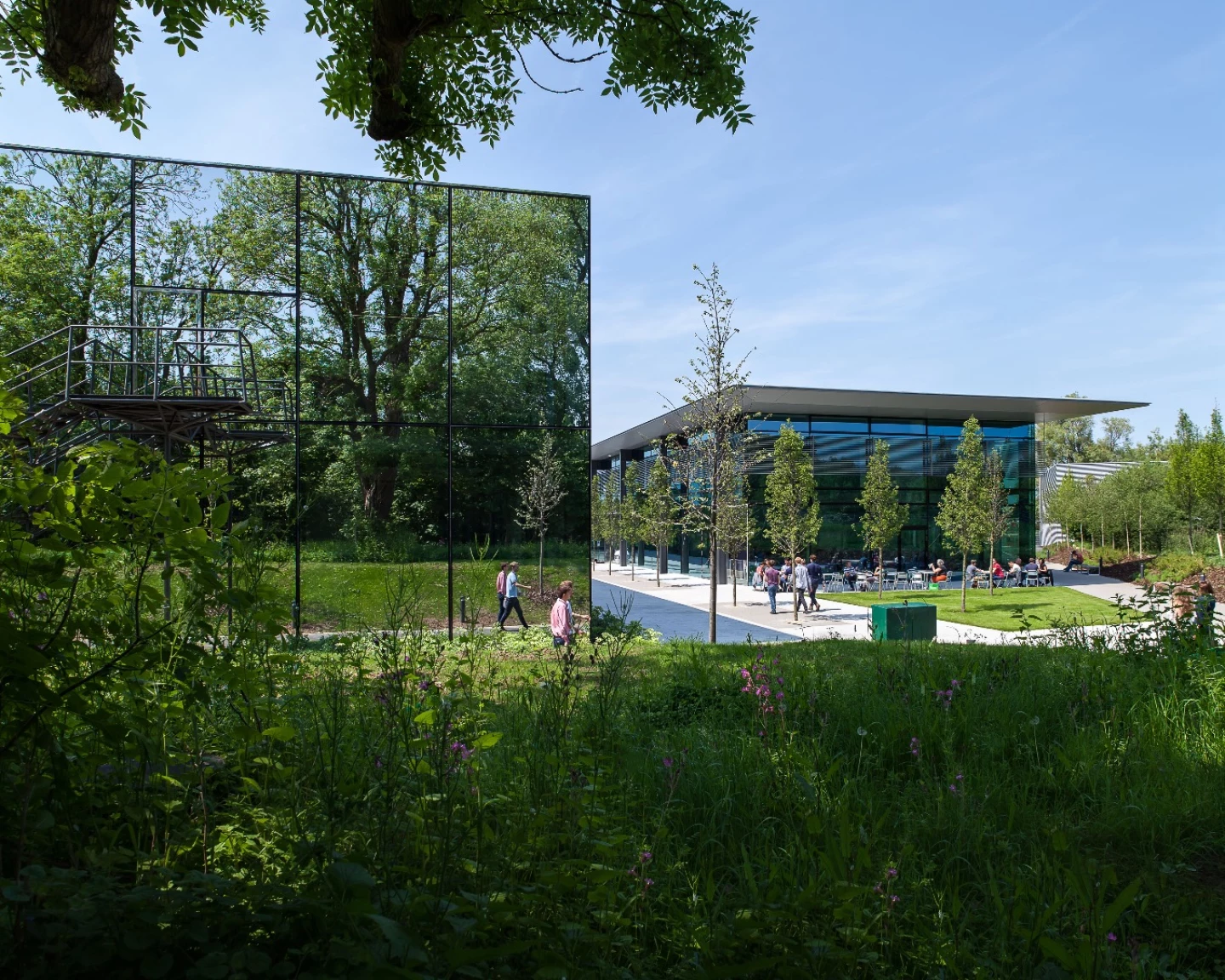 Mirror-like facade shields Dyson's secret projects from prying eyes