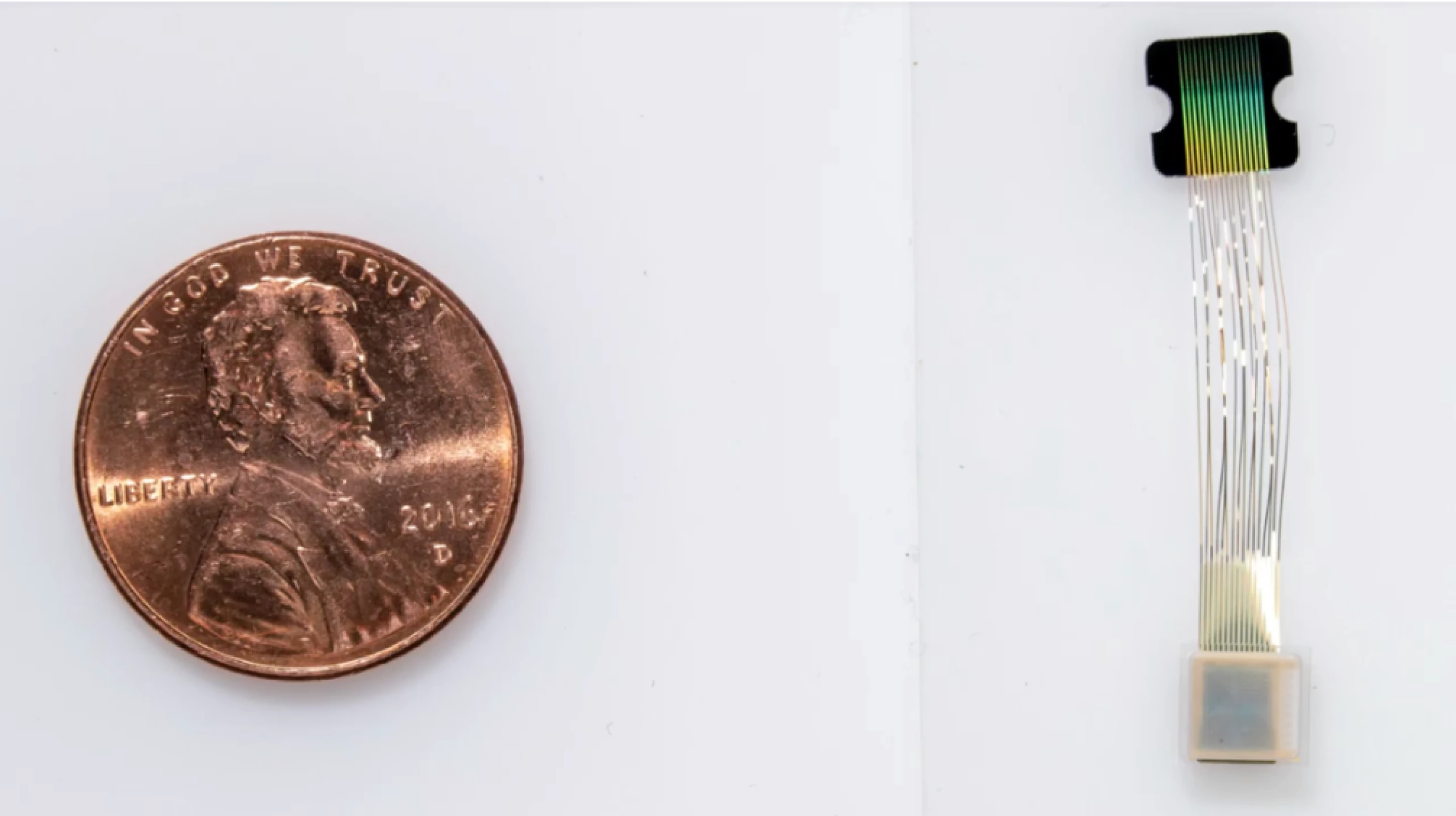 Elon Musk's Neuralink plans its first brain chip implants for next year