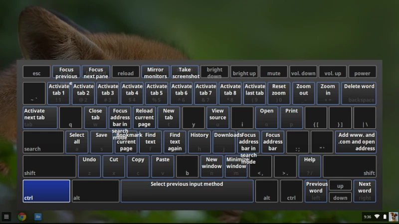 Essential tips for owners of new Google Chromebooks