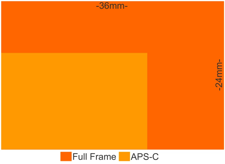 Camera sensor size: Why does it matter and exactly how big are they?