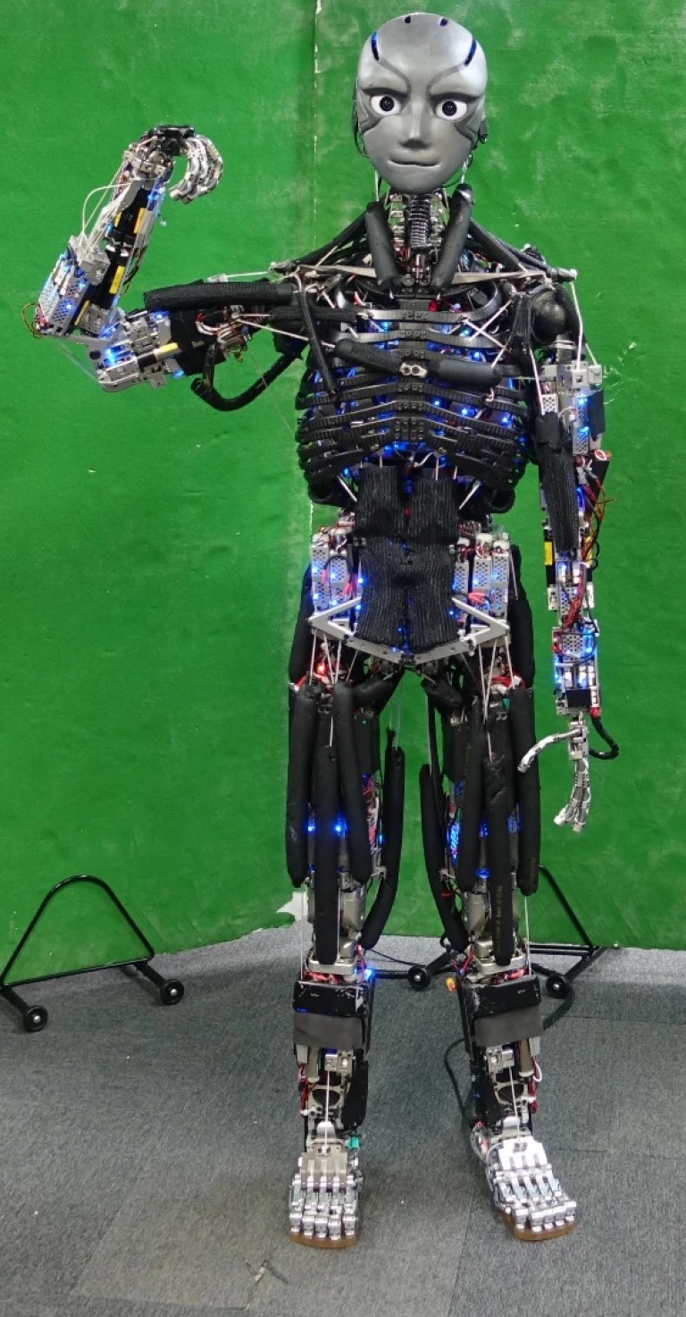 The humanoid robot that can exercise and even perspire when it gets hot