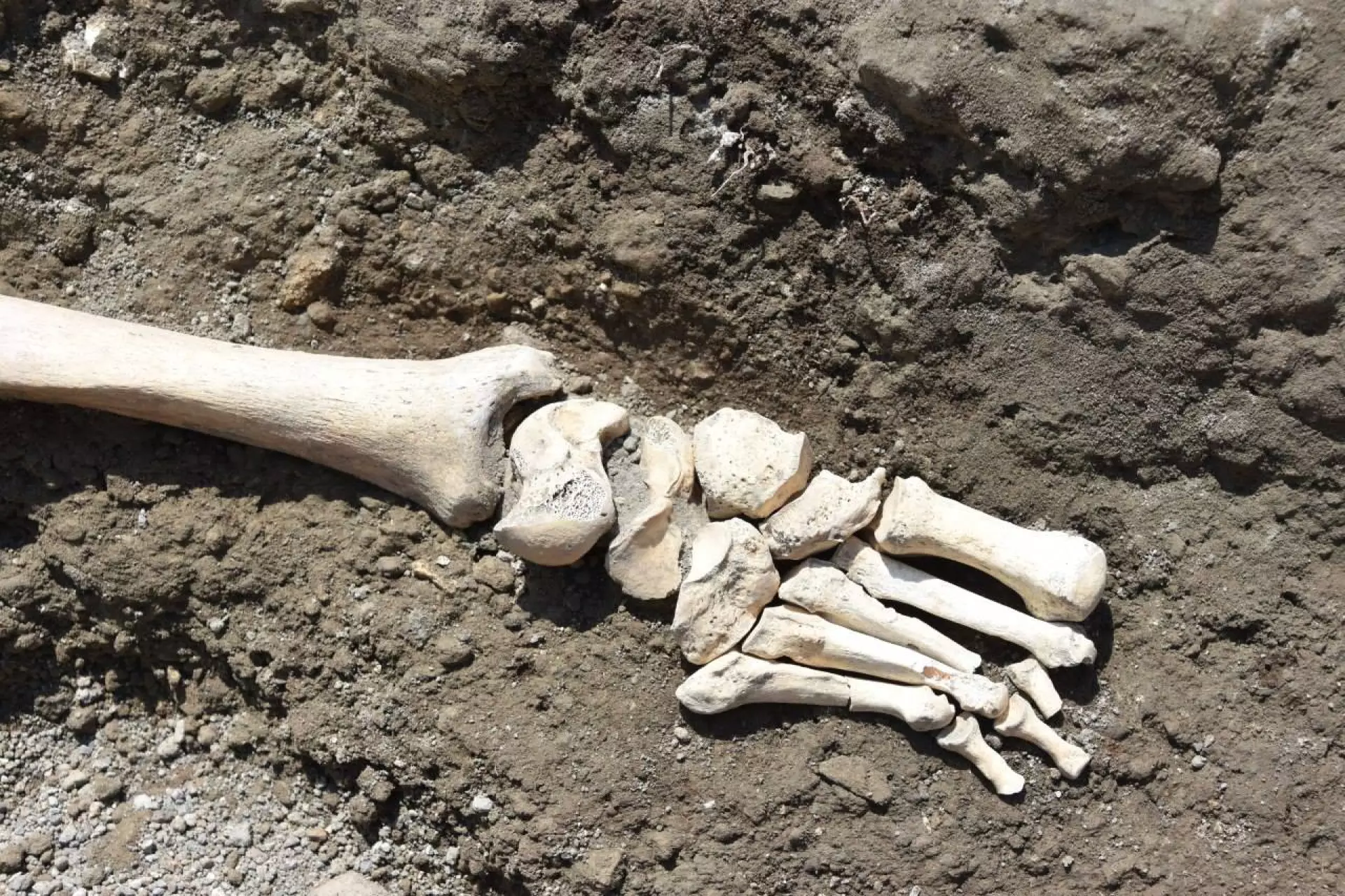 Pompeii skeleton found crushed under stone block while fleeing volcanic ...