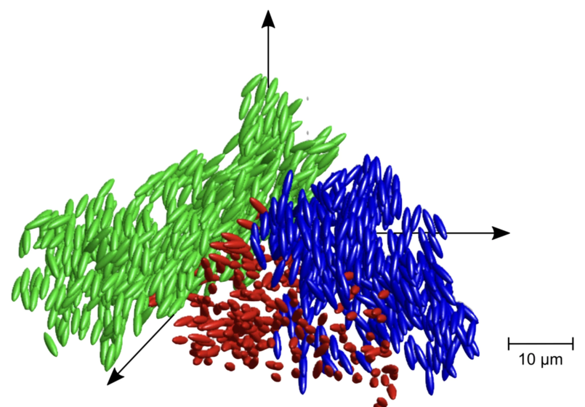 Liquid glass discovered as new state of matter