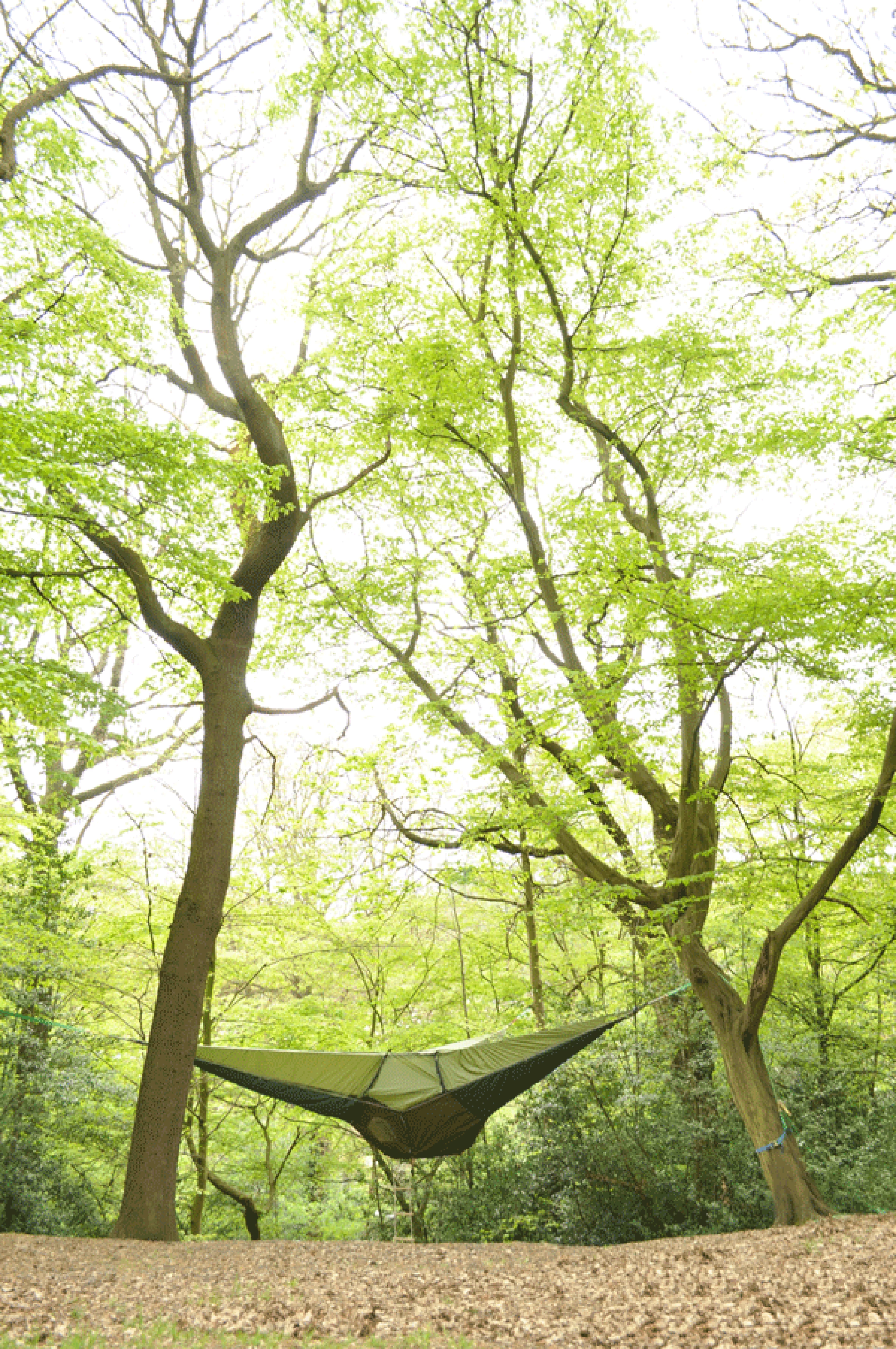 Tree-hanging tent provides above-ground shelter