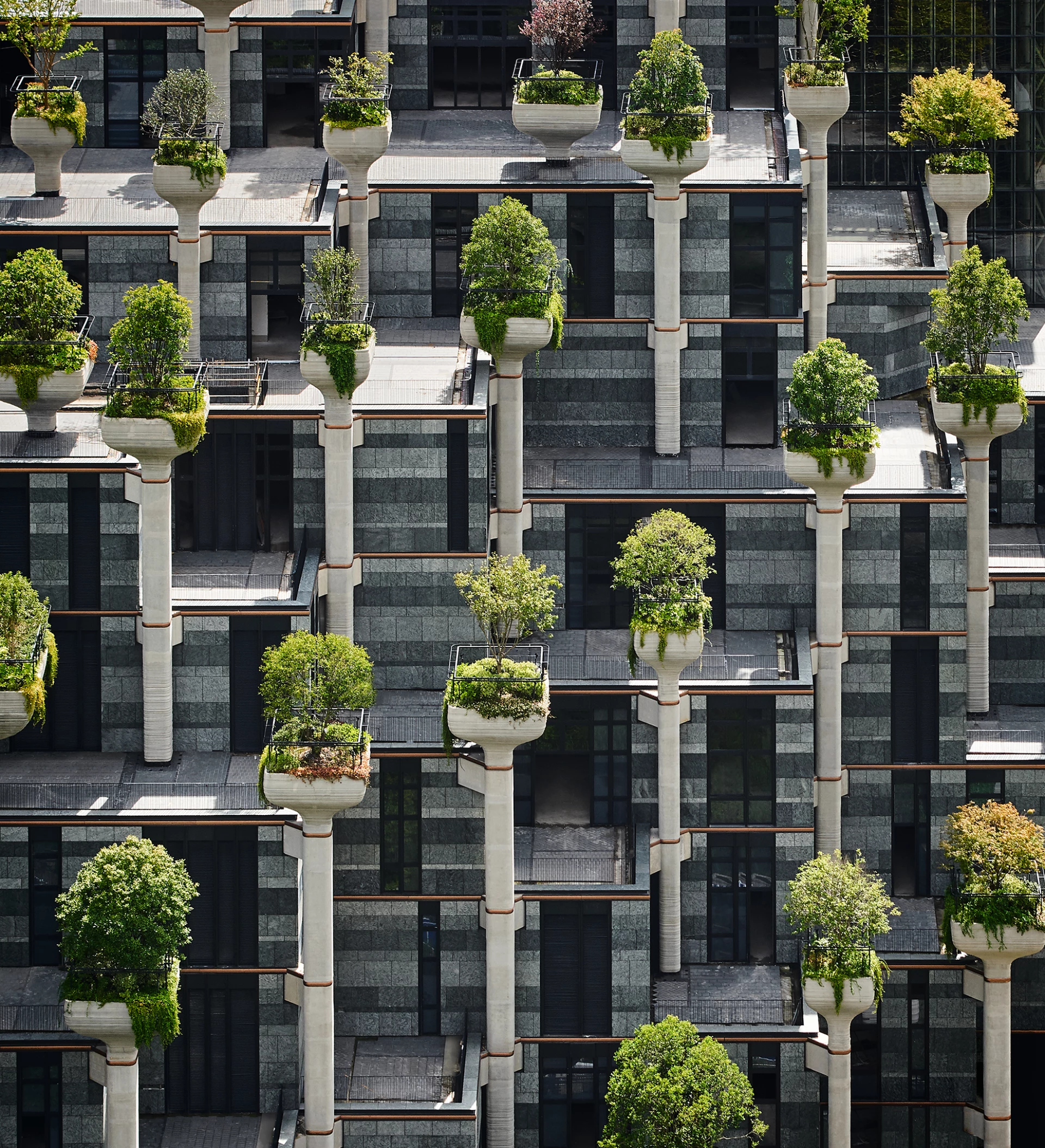Heatherwick Studio's 1000 Trees project takes root