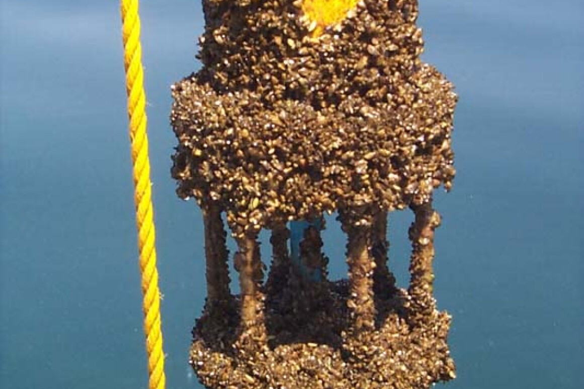 Researchers develop coating that shakes fouling material off ship hulls