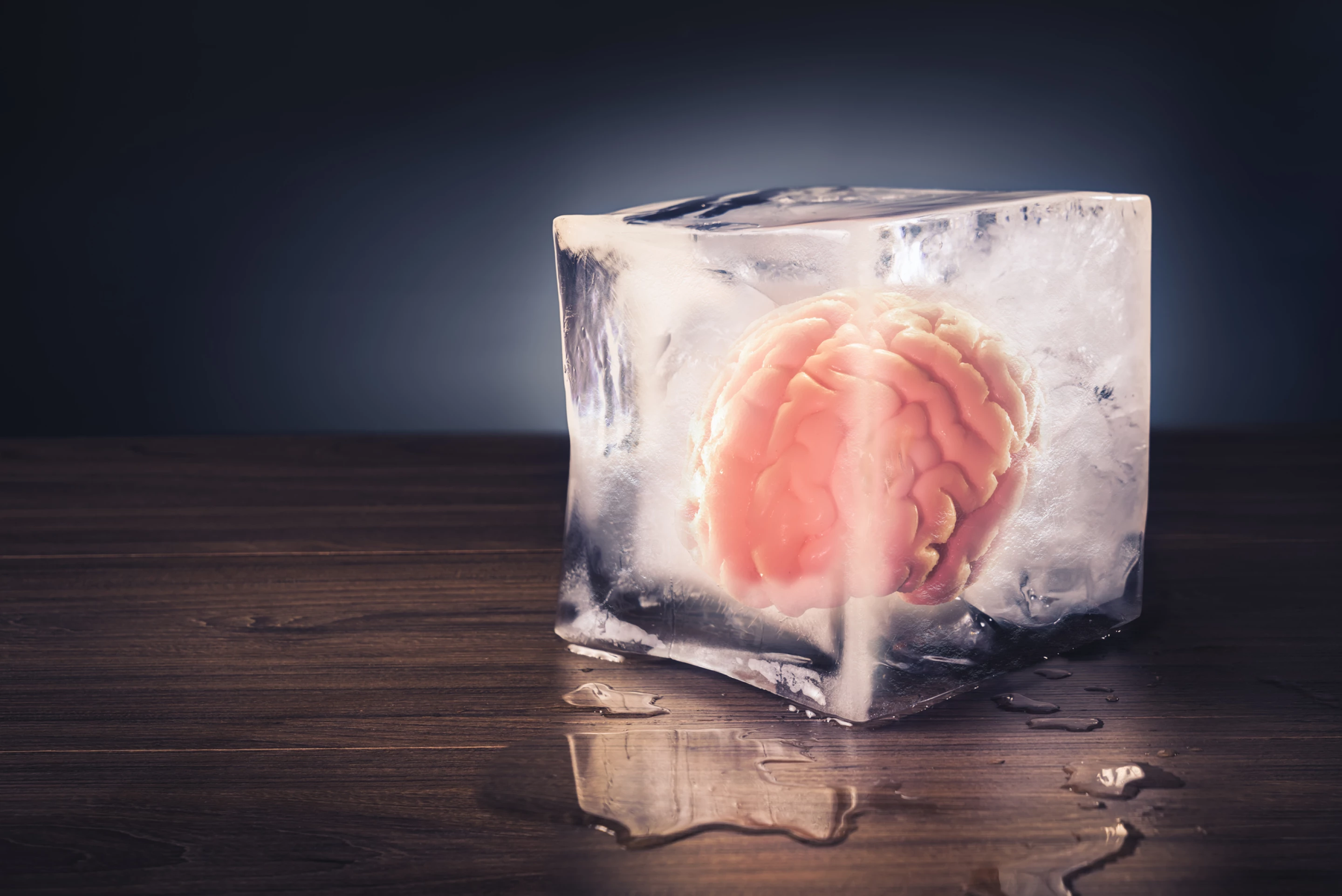 Frozen human brain tissue works perfectly when thawed 18 months later