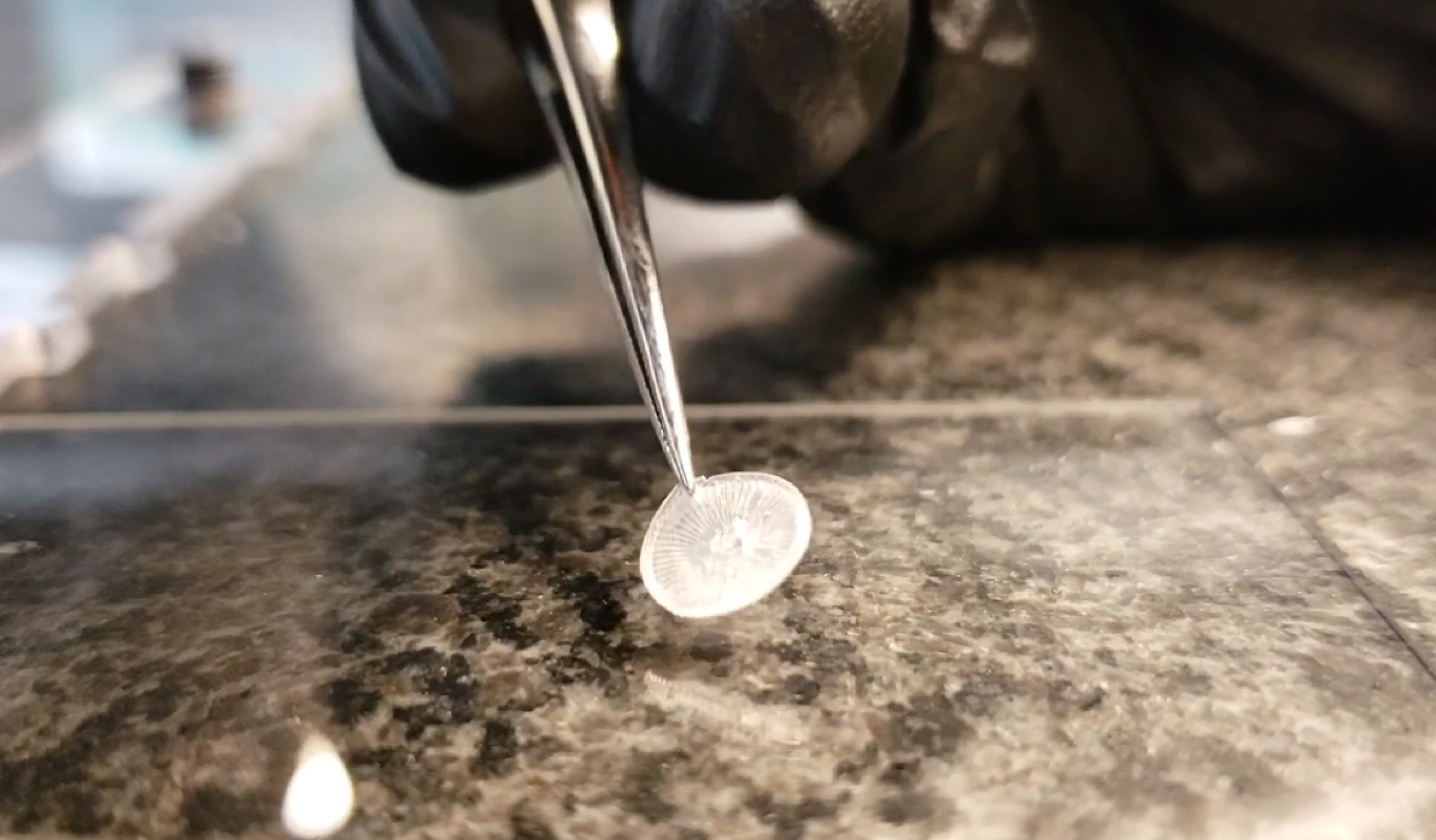 Harvard's 3D-printed eardrum repair patch is ready for market