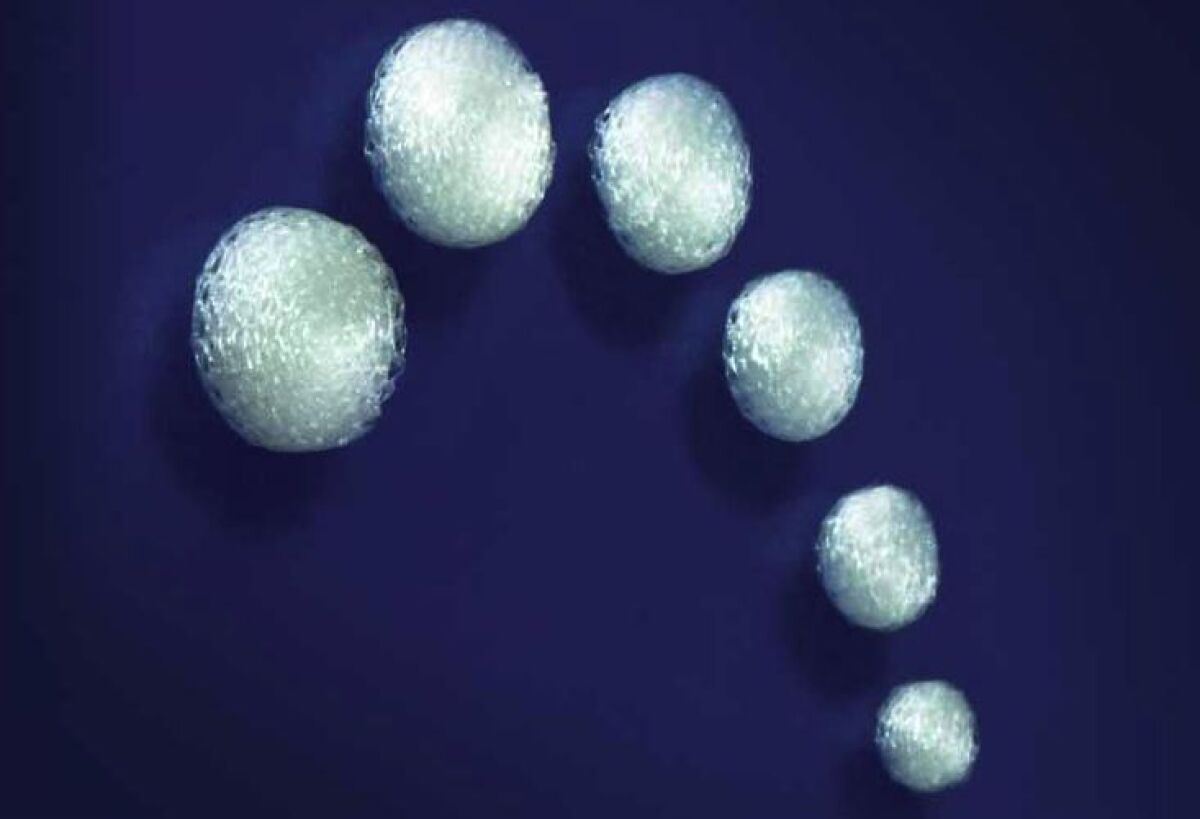 World's first biodegradable joint implant grows new joints