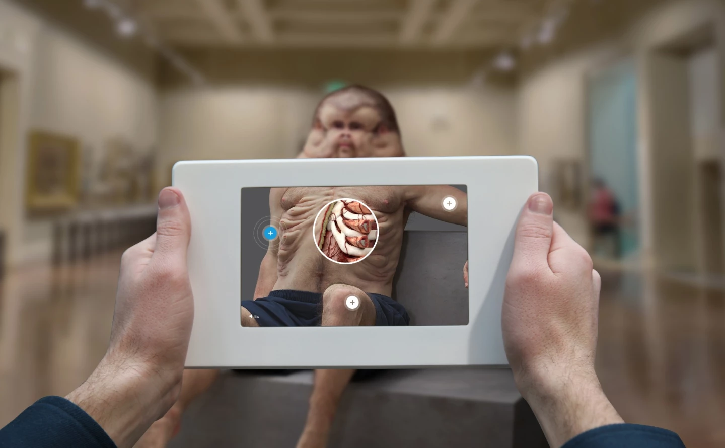 The perfect body to survive a high-speed crash