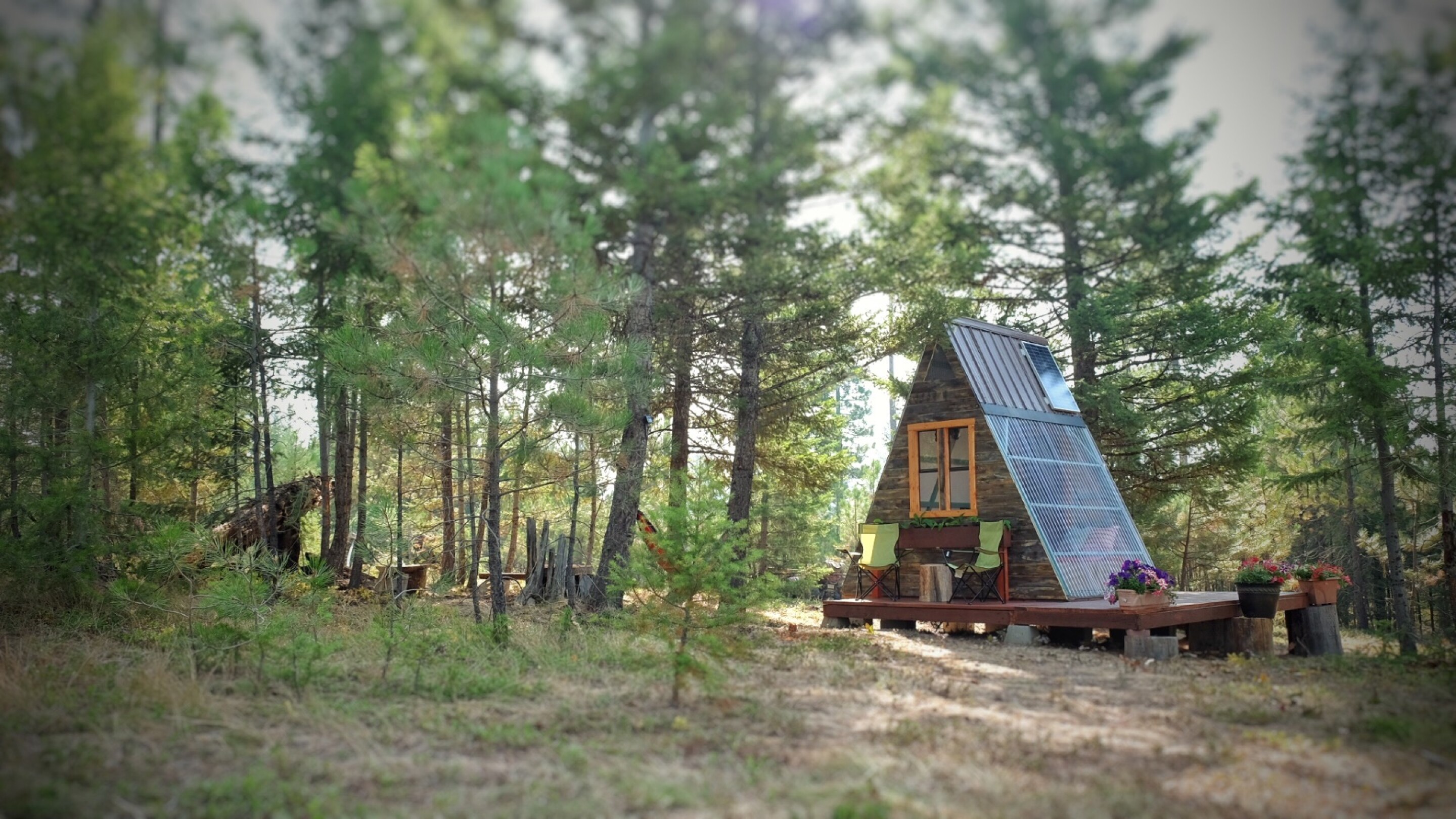 Couple builds tiny A-frame cabin for just $700