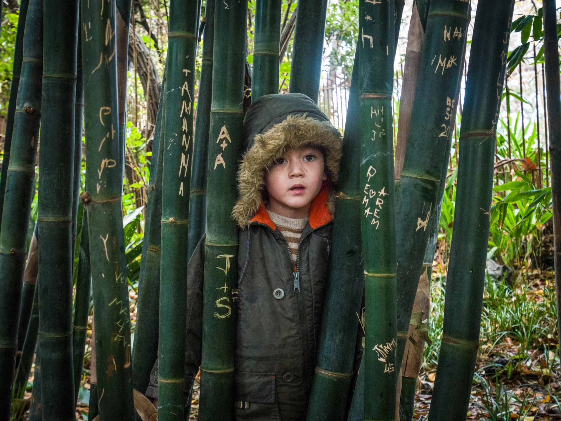 Review: Panasonic GX9 makes a compelling case for the compact camera