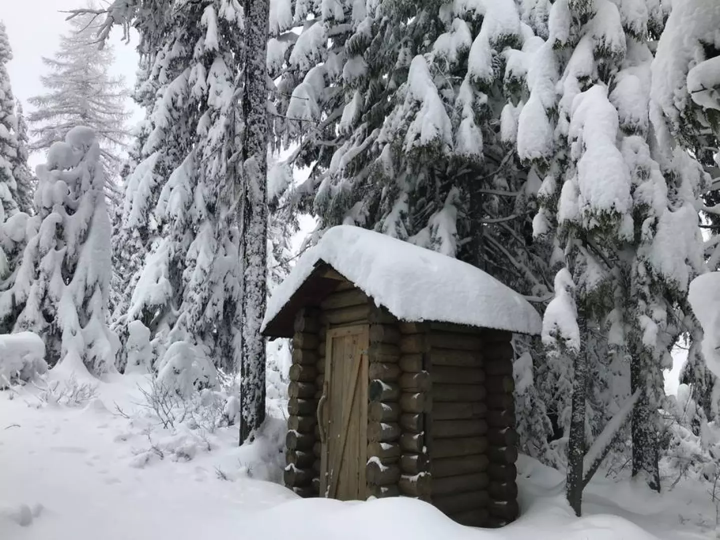 Kristie Wolfe turns 1950s fire lookout tower into a room with a view