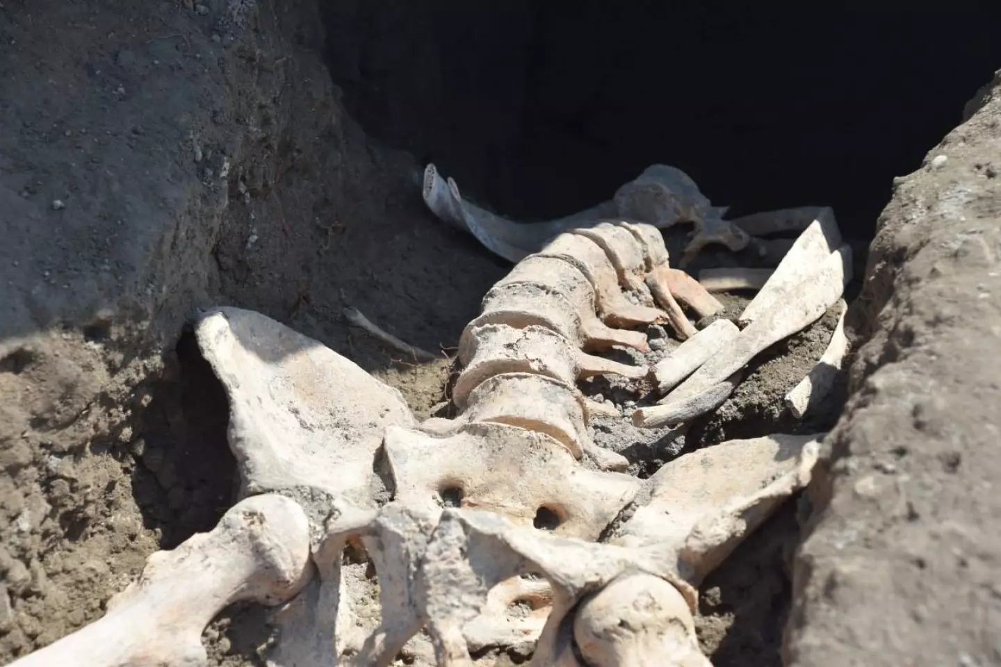 Pompeii skeleton found crushed under stone block while fleeing volcanic ...