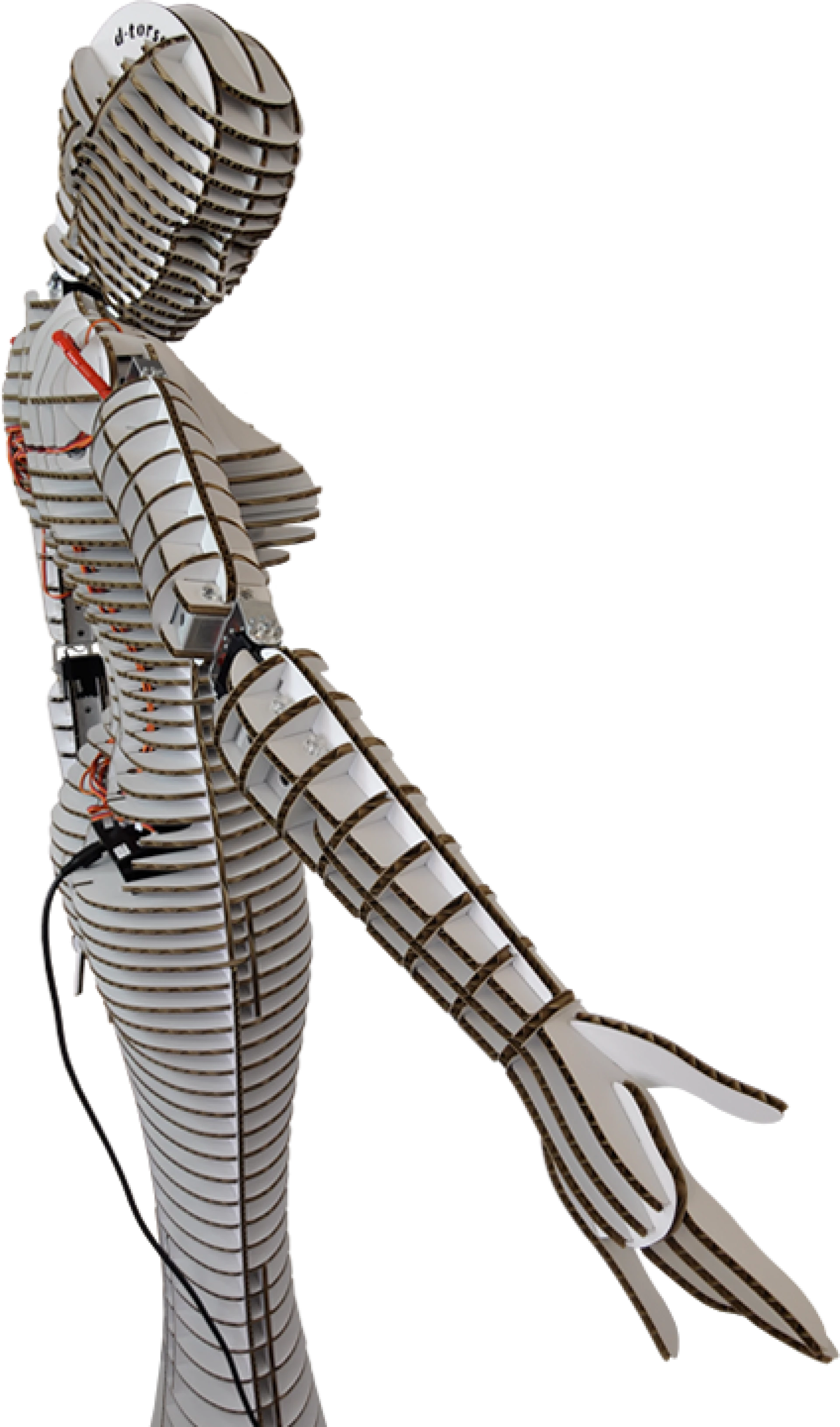 Robotic mannequins strike a pose in South Korea