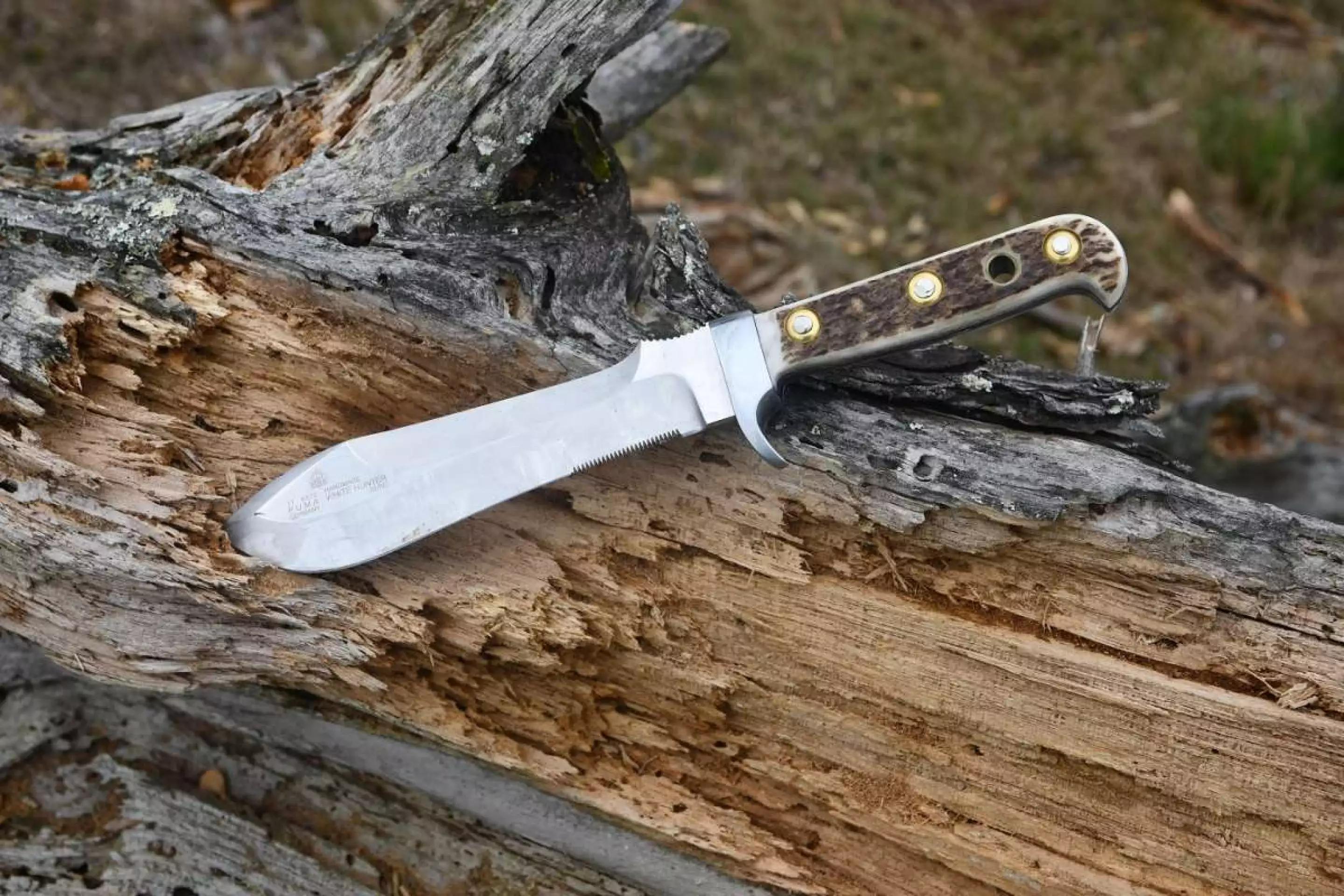 The Puma White Hunter: A Legend of Hunting Knife Design