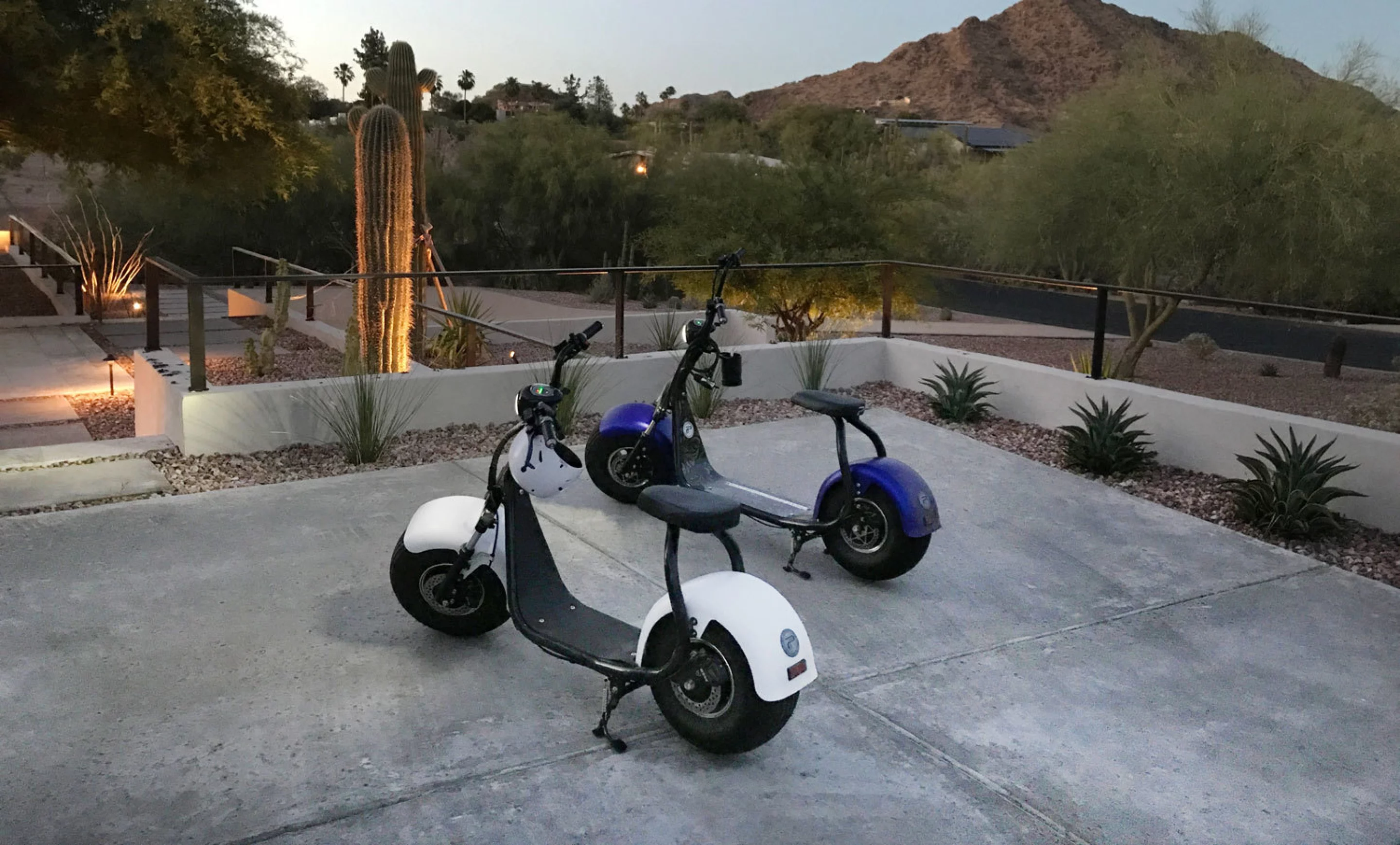 Phat Scooters offer kick-free sit or stand fat-tire ride