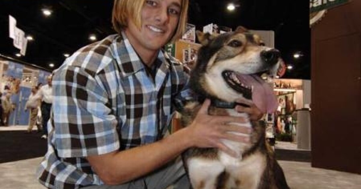 Top 10 inventions for pets