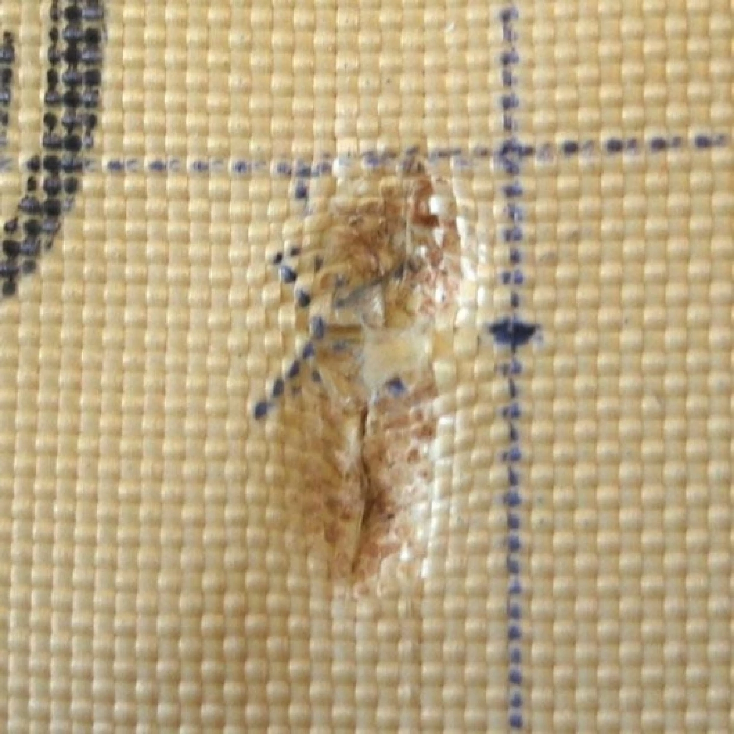 New Shear Thickening Fluid (STF) enables flexible, comfortable armor