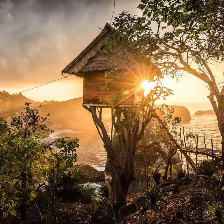 Gallery: Tremendous treehouses to coax big kids towards the canopy