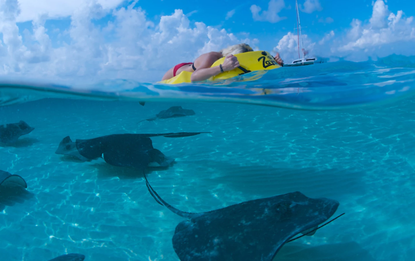 Zayak Sea Sled clears the way for underwater close-ups