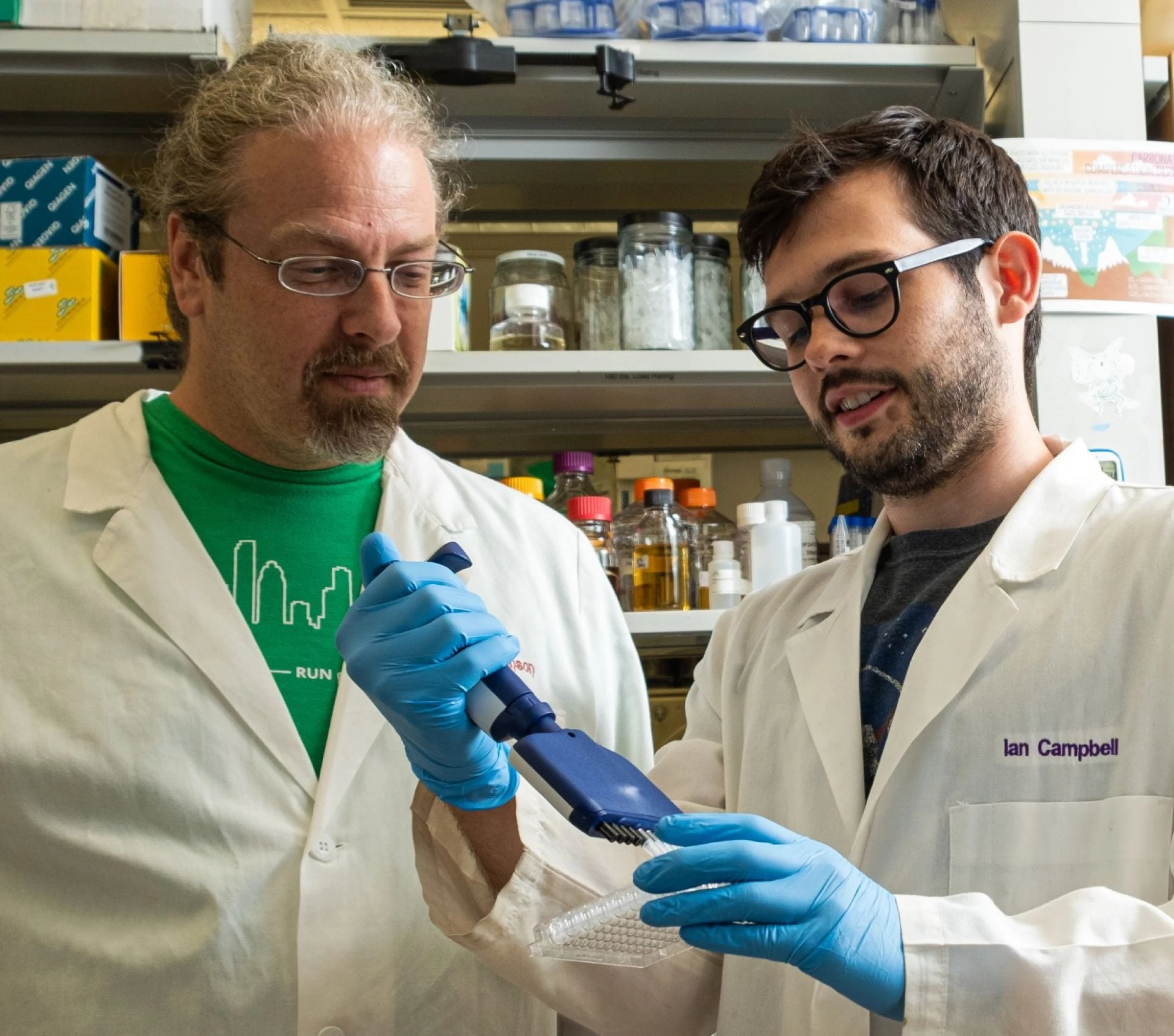 "Primordial" proteins successfully inserted into engineered E. coli in ...