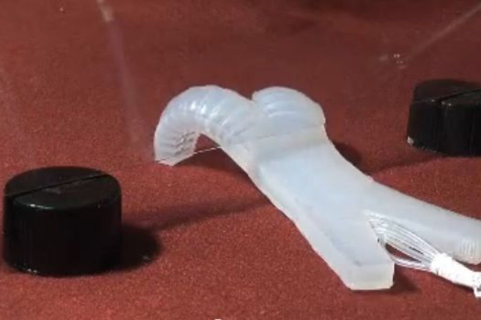 Soft-bodied robot owes its moves to starfish and squid