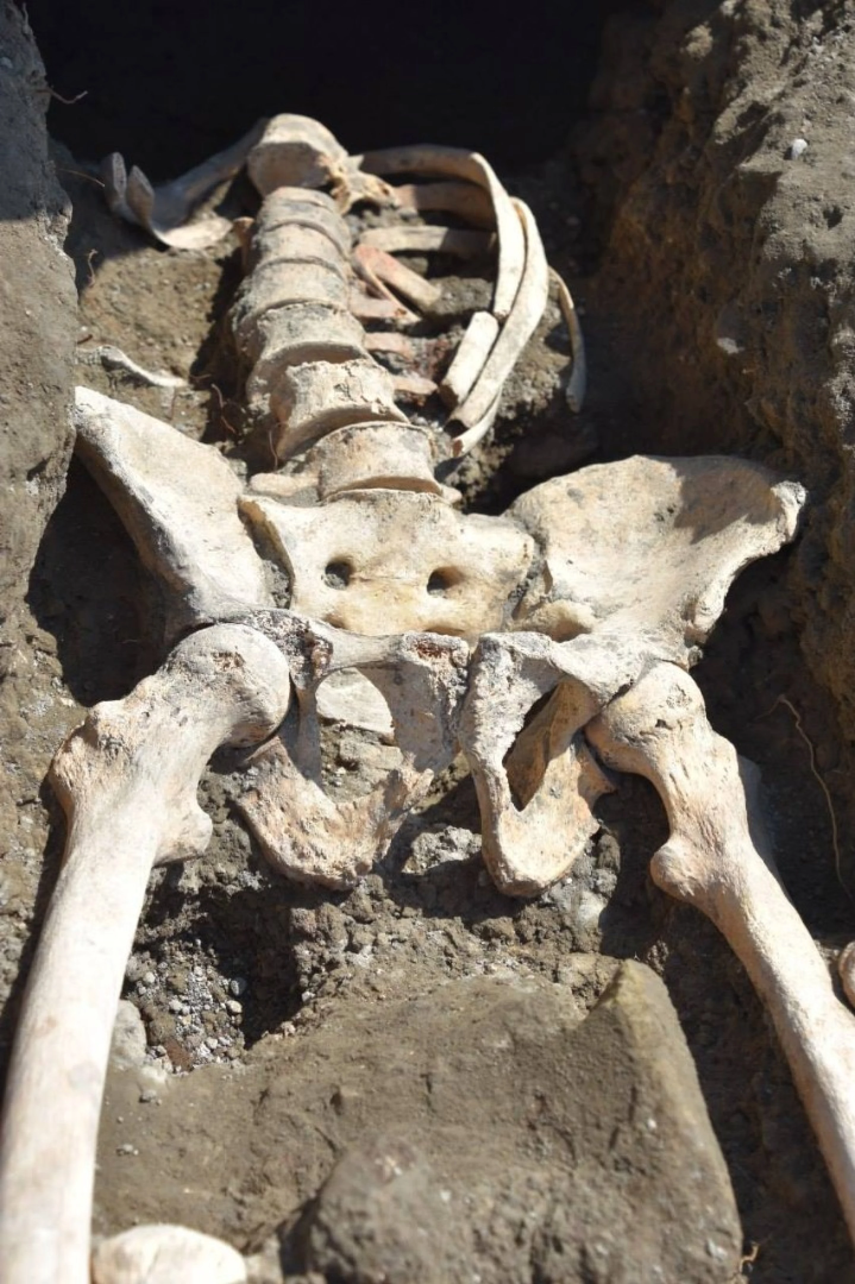 Pompeii skeleton found crushed under stone block while fleeing volcanic ...