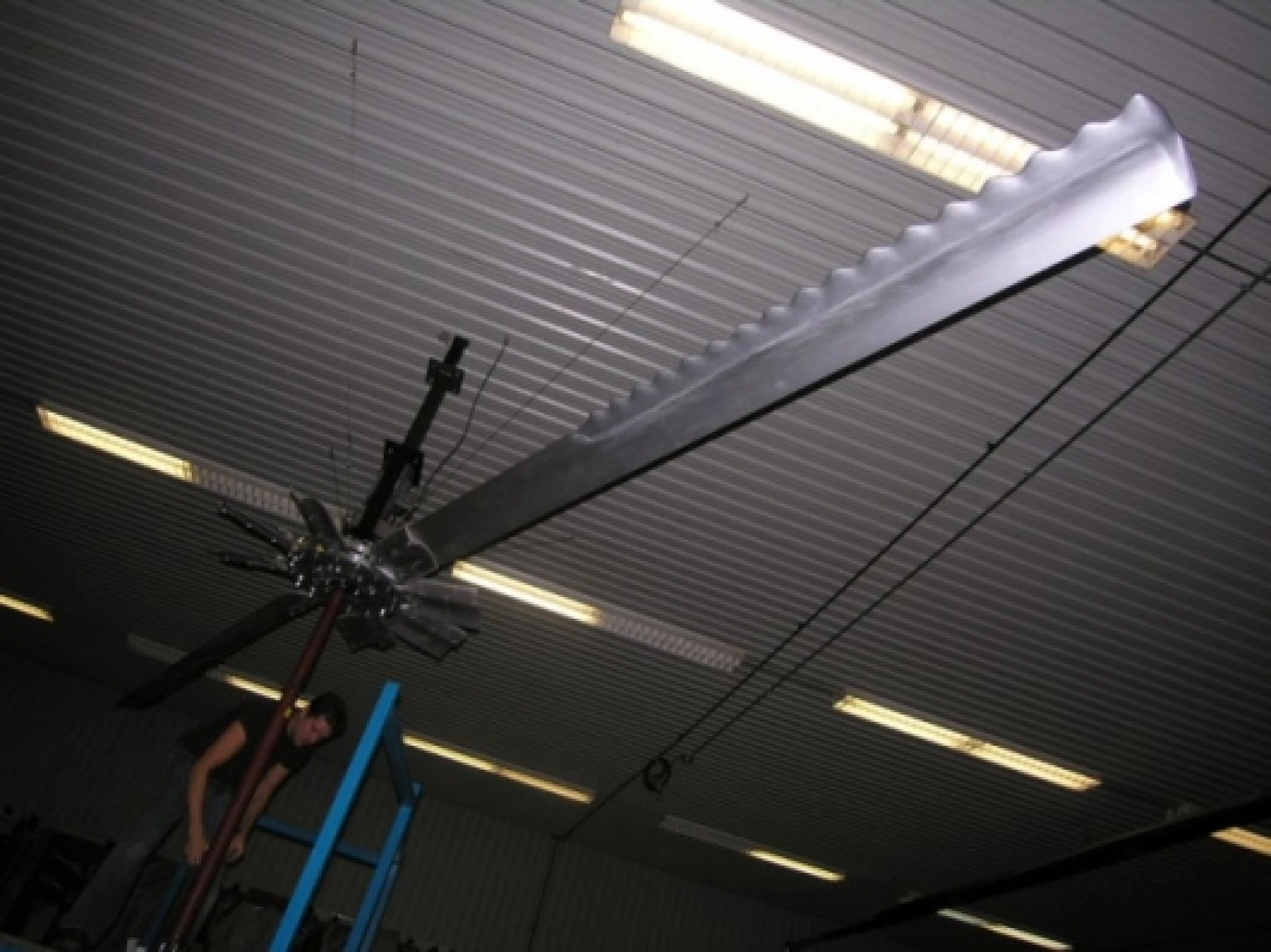 Bumpy whale fins set to spark a revolution in aerodynamics