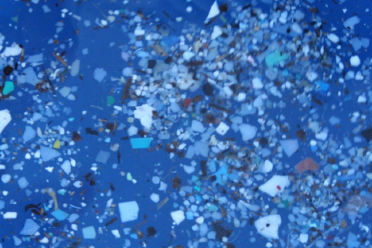 Plastic waste from the sea to be turned into vacuum cleaners