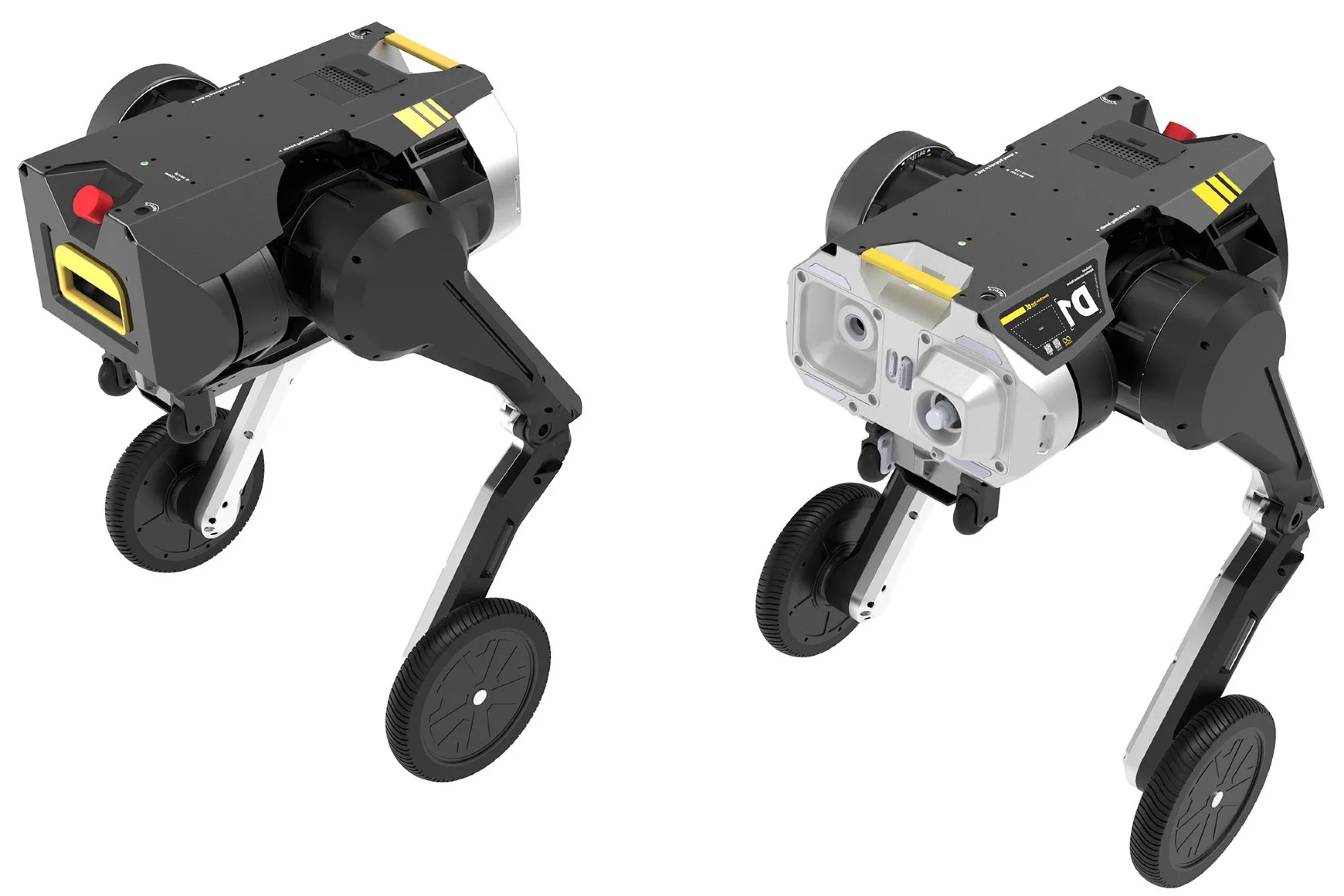 D1 modular robot transforms from one quadruped to two bipeds