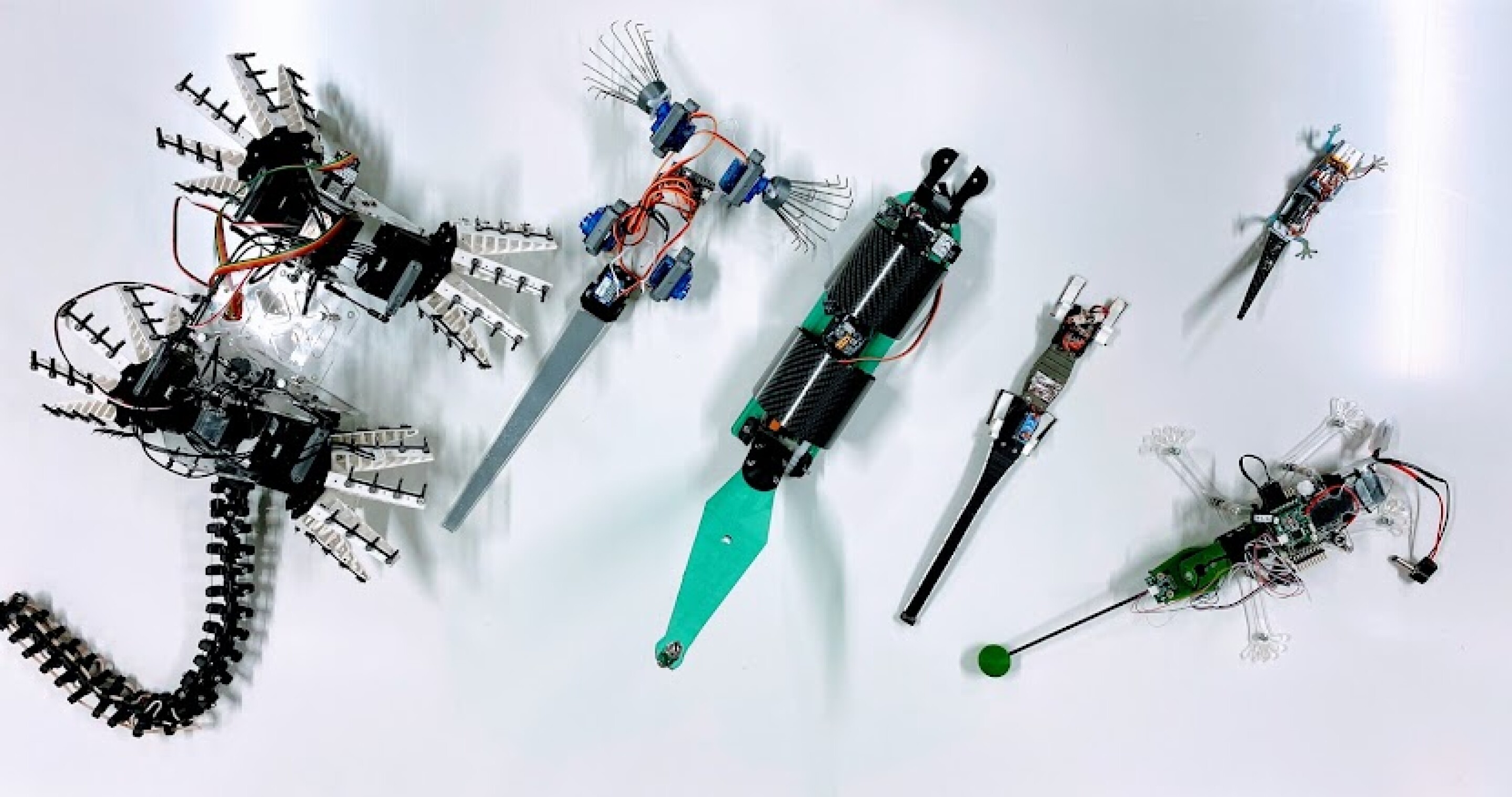 Robotics contest will build a biomimetic robot based on winning entry