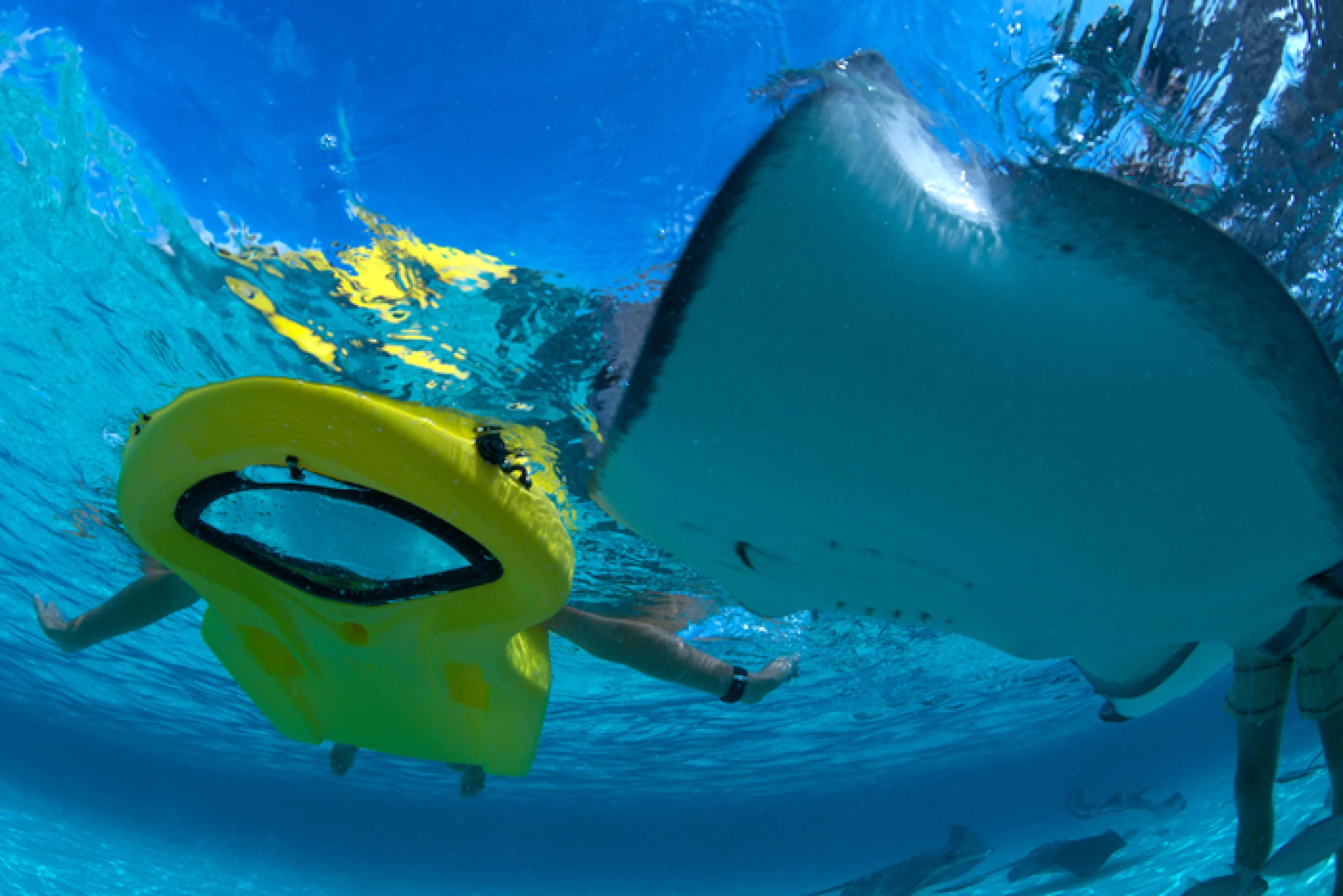 Zayak Sea Sled clears the way for underwater close-ups