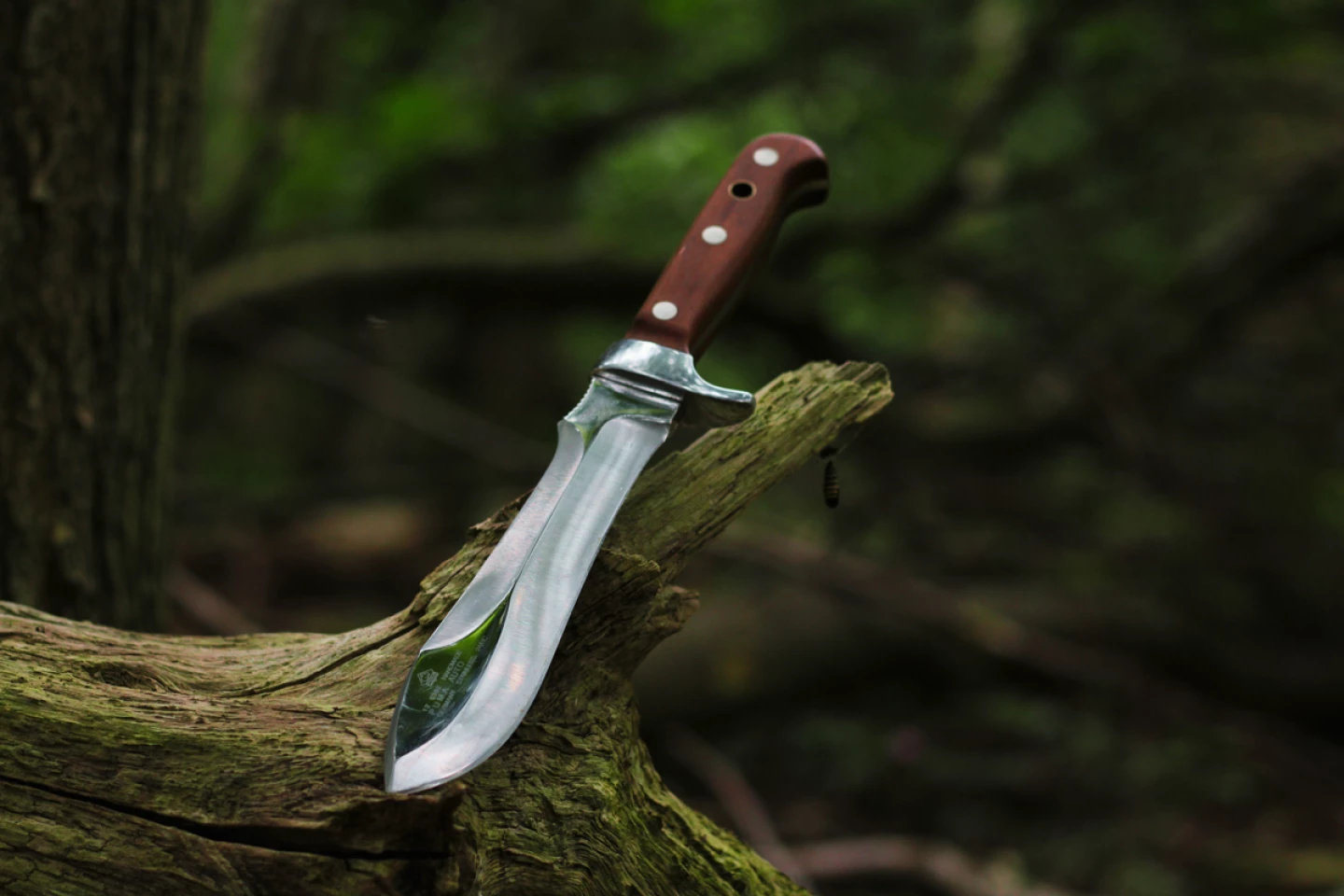 The Puma White Hunter: A Legend of Hunting Knife Design