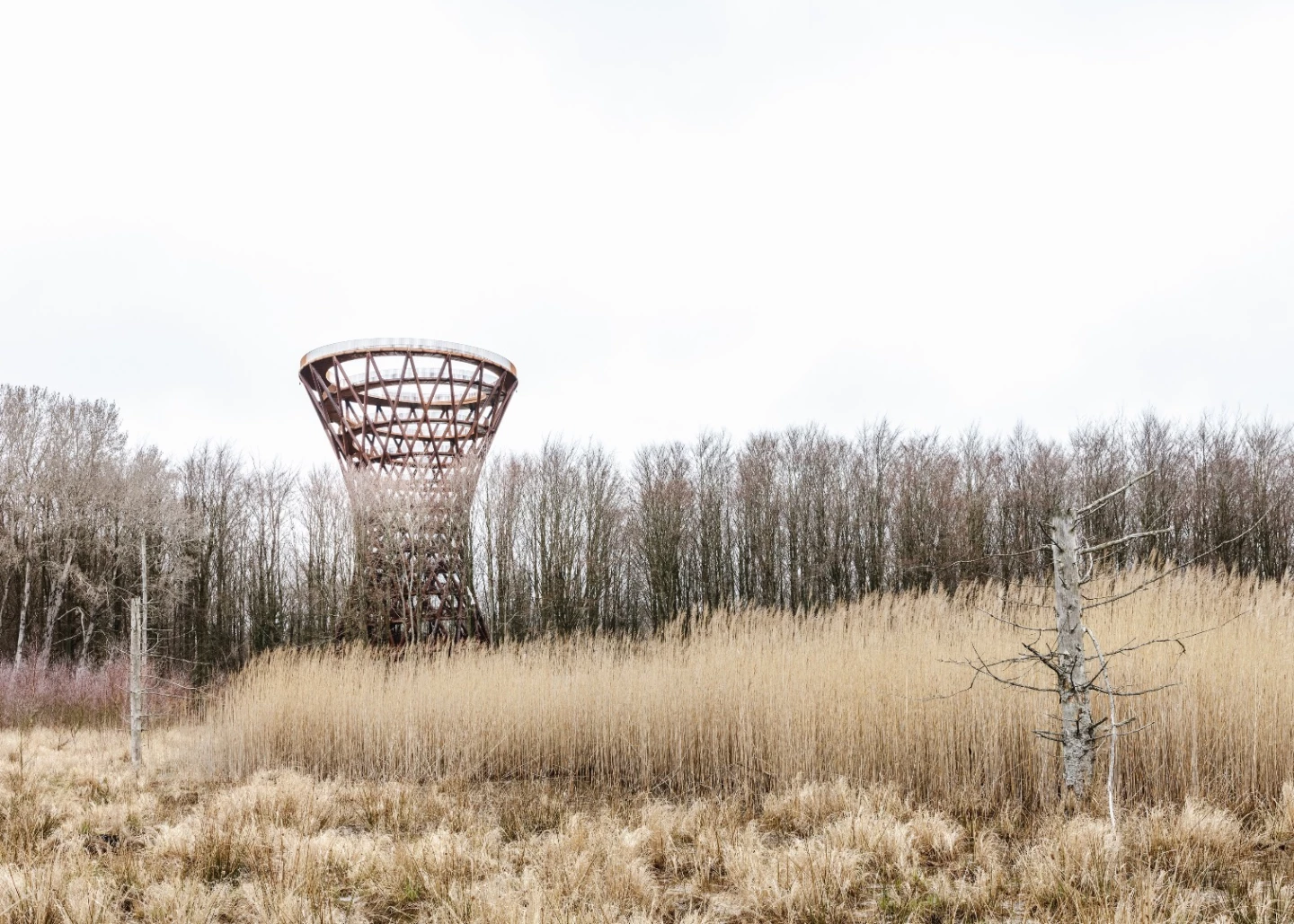 Stunning observation tower runs rings around Danish forest