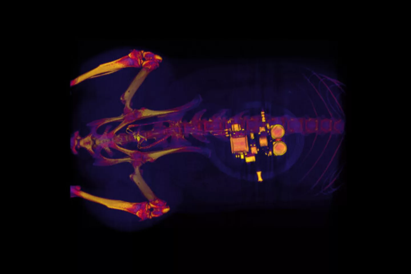 Wirelessly-activated implant treats bladder problems using light