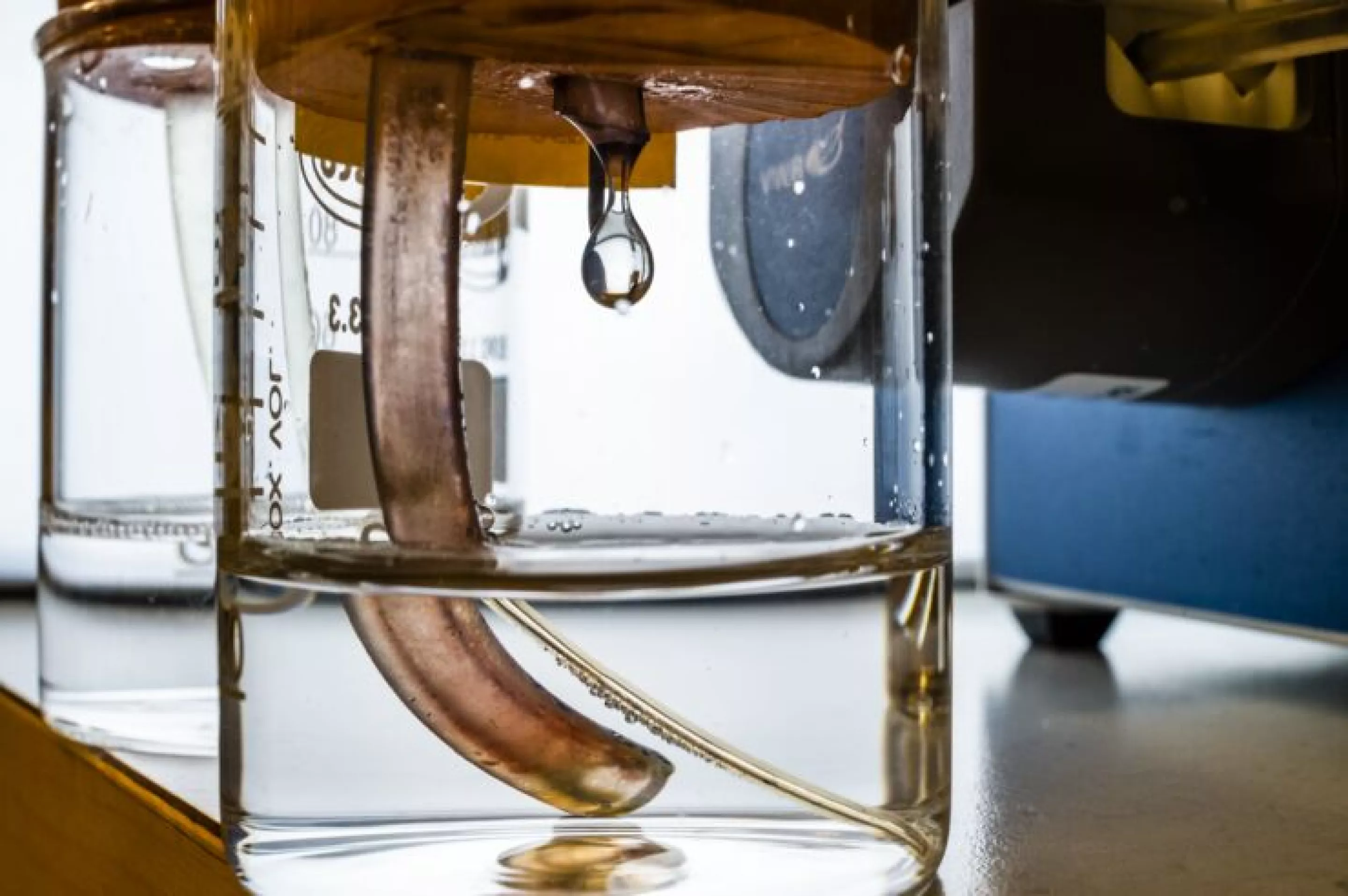 Scientists build first redox flow battery made of all-organic materials