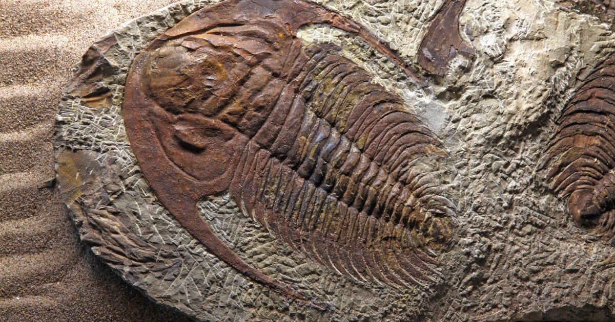 How plate tectonics may have changed the climate and paved the way for ...