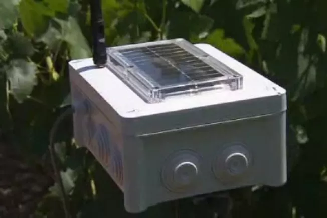 FLOW-AID helps farmers save water without sacrificing yields