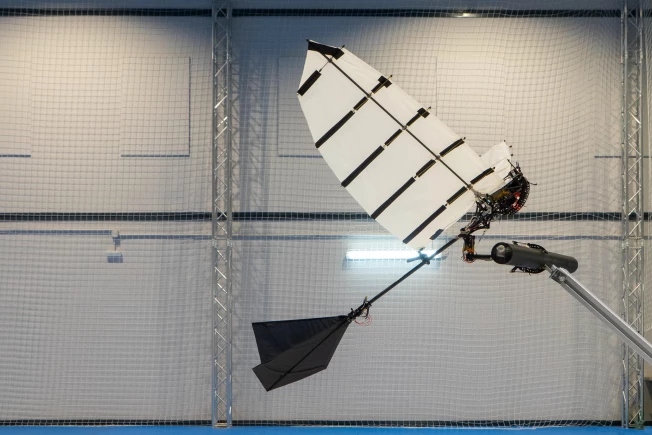 Autonomous P-Flap ornithopter uses a claw to perch like a bird