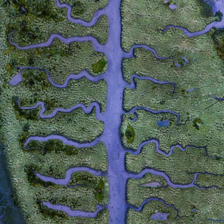 Aerial photography captures the beauty of how water shapes our planet