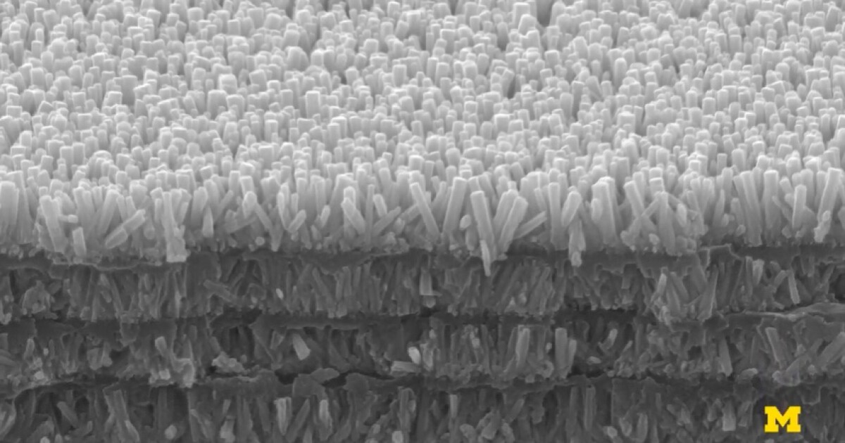 Tooth-inspired tech could make for tougher planes